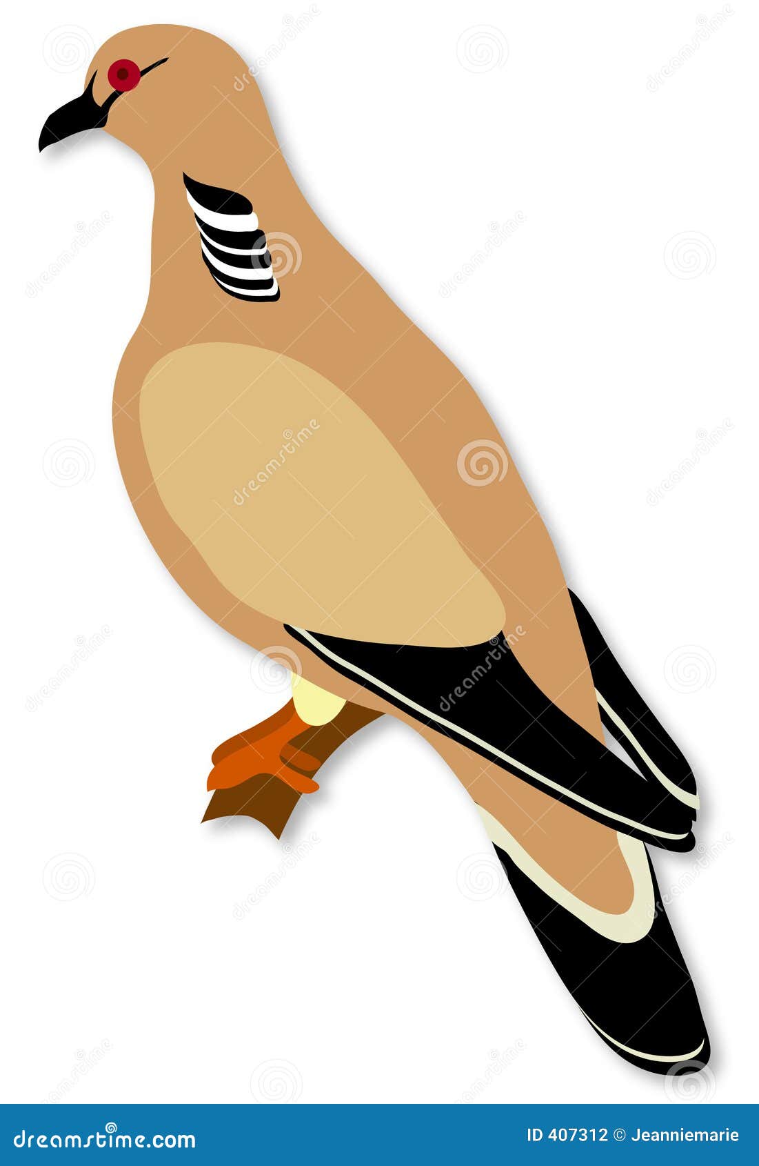 Turtle Doves Drawings