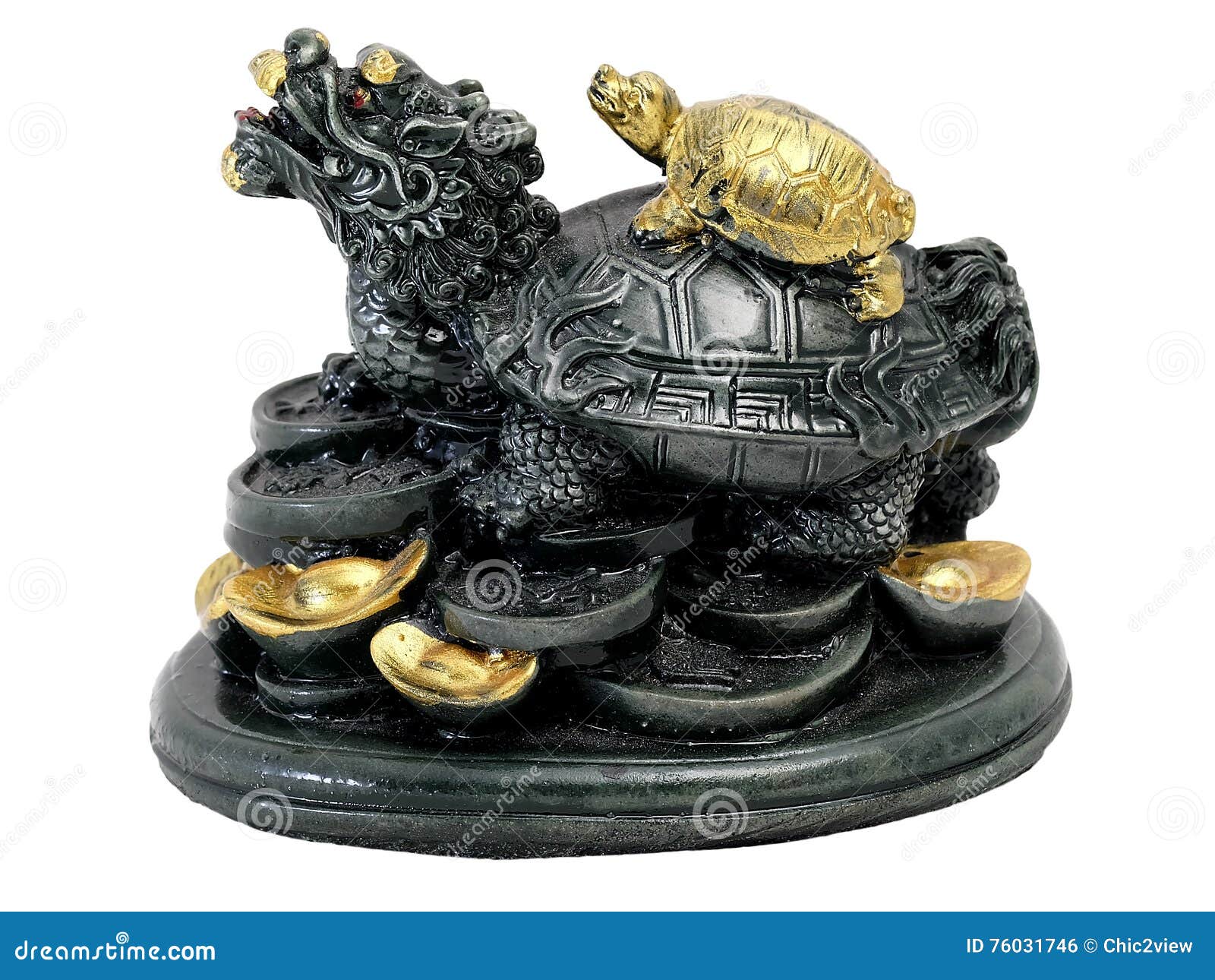 729 Pile Turtle Stock Photos - Free & Royalty-Free Stock Photos from ...