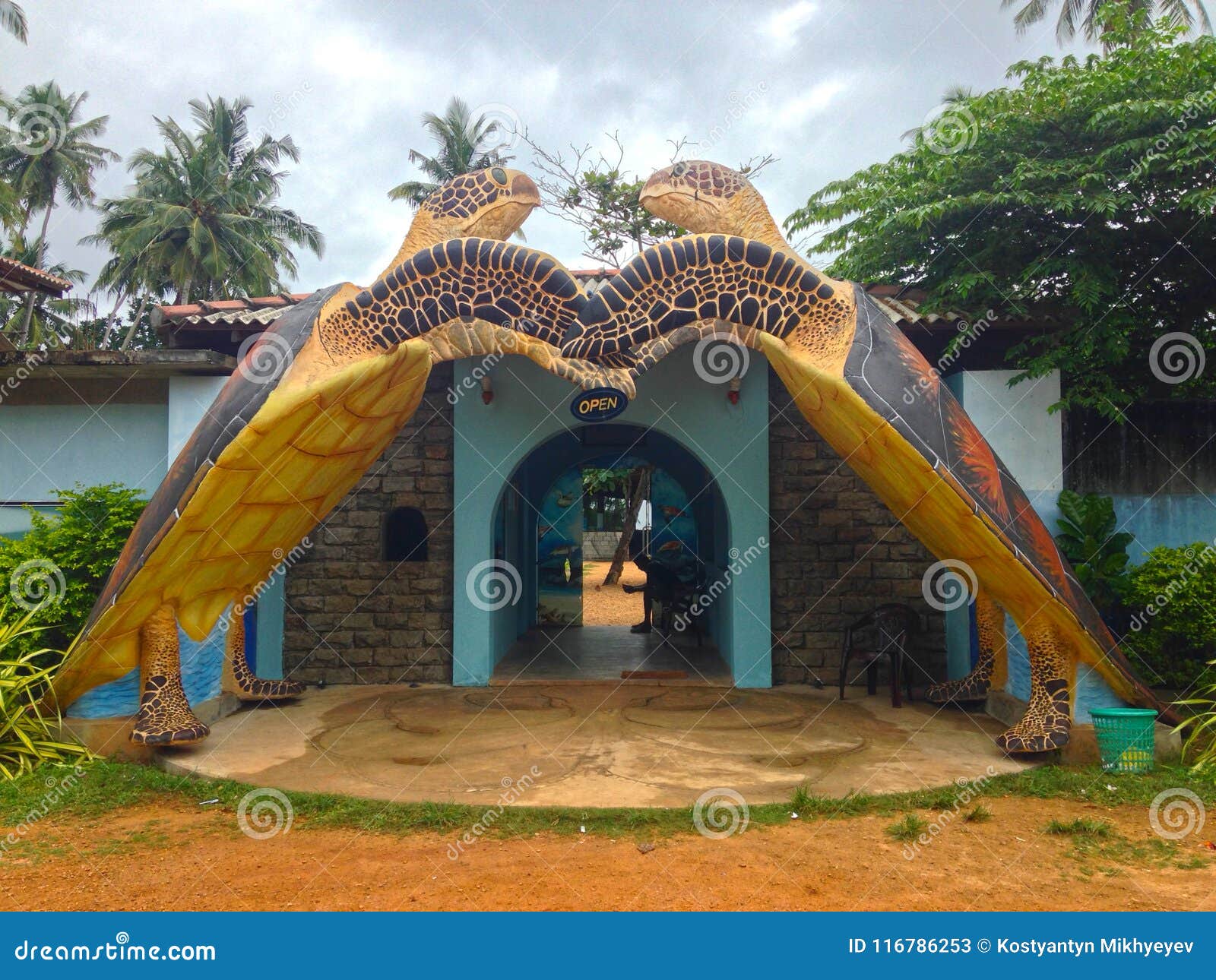 Turtle farm in Hikkaduwa stock image. Image of ocean - 116786253