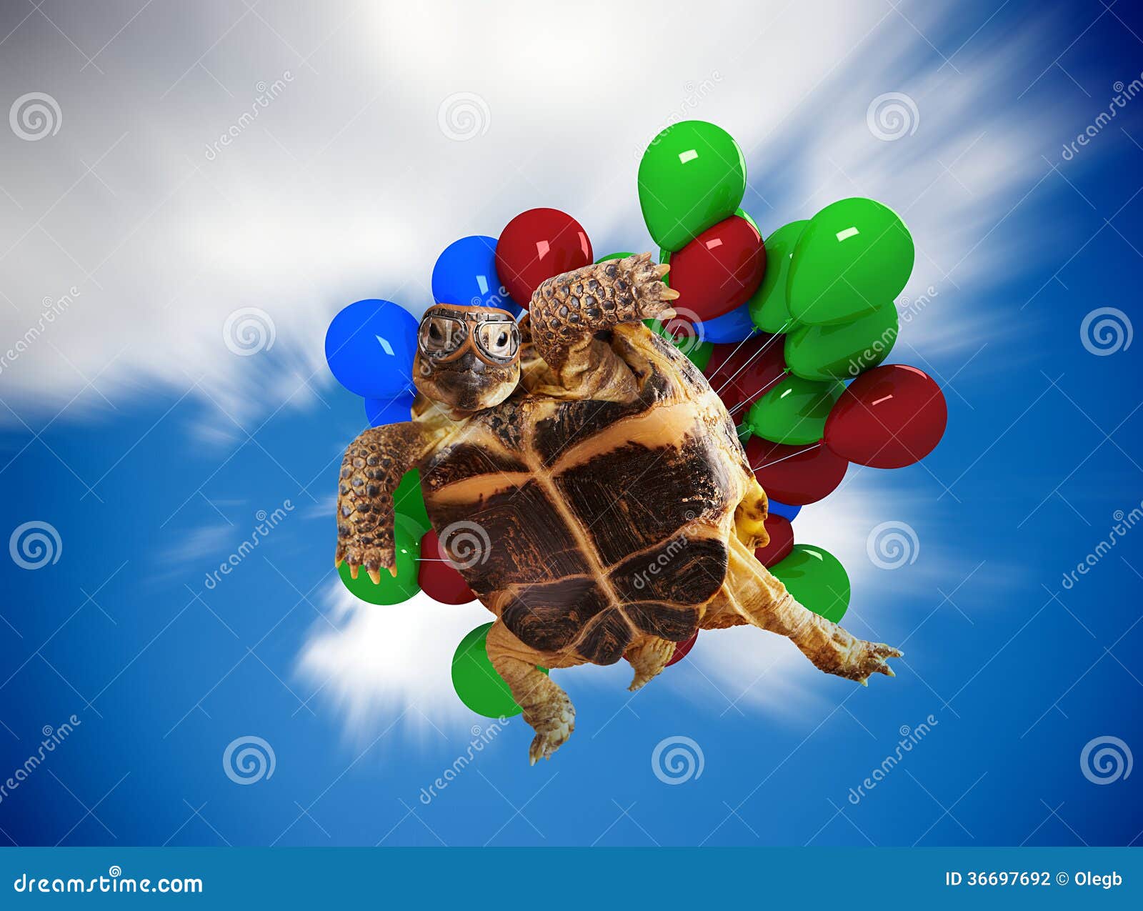 Turtle flying on balloons stock photo. Image of flying - 36697692