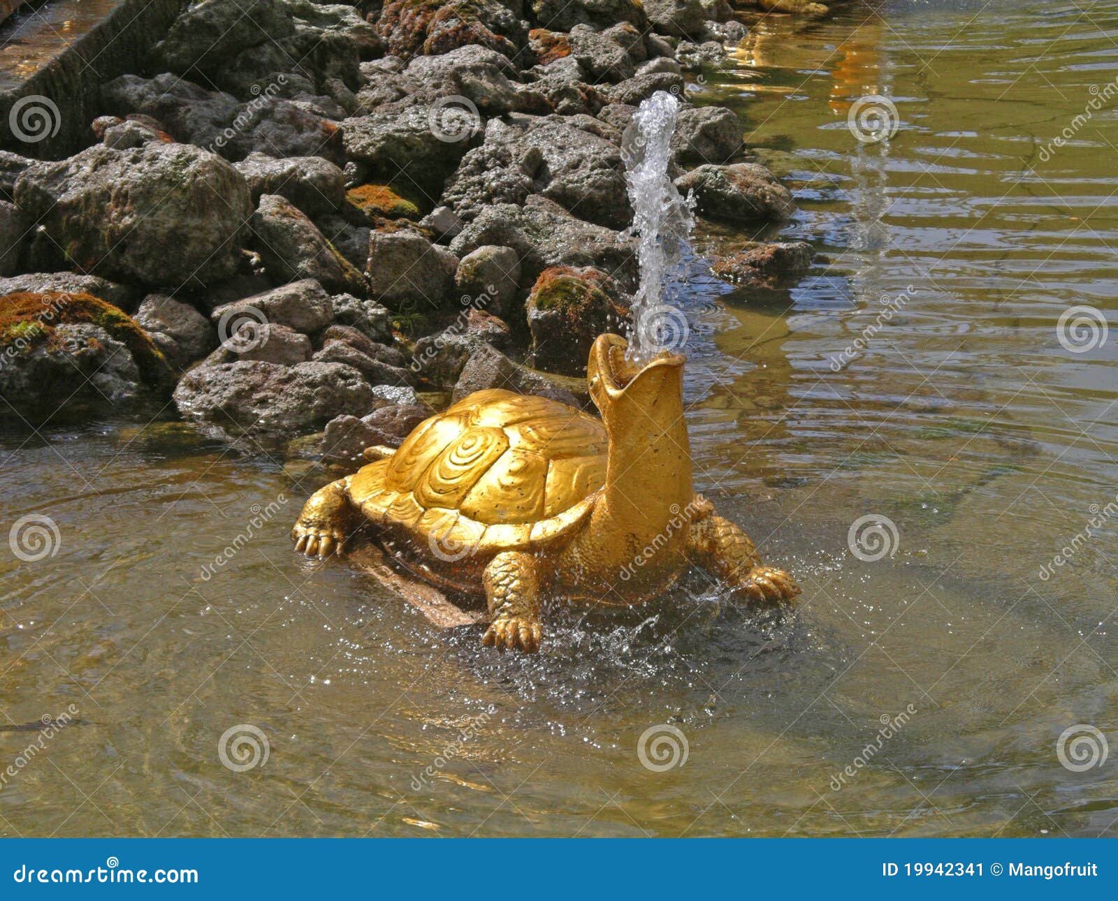 Turtle fountain stock image. Image of beautiful, gilt - 19942341