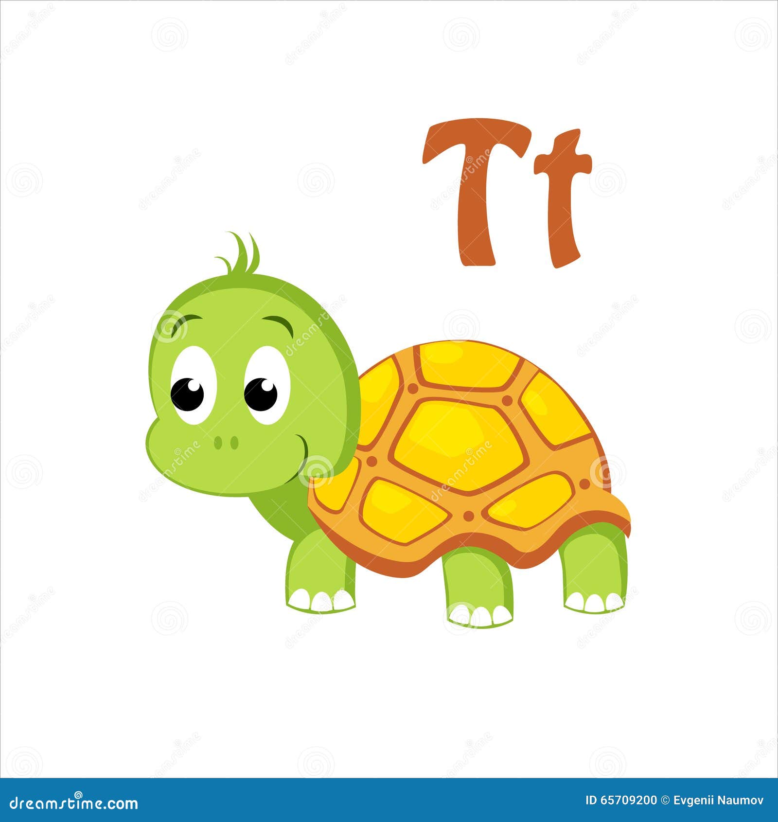 Turtle. Funny Alphabet, Animal Vector Illustration Stock Vector ...