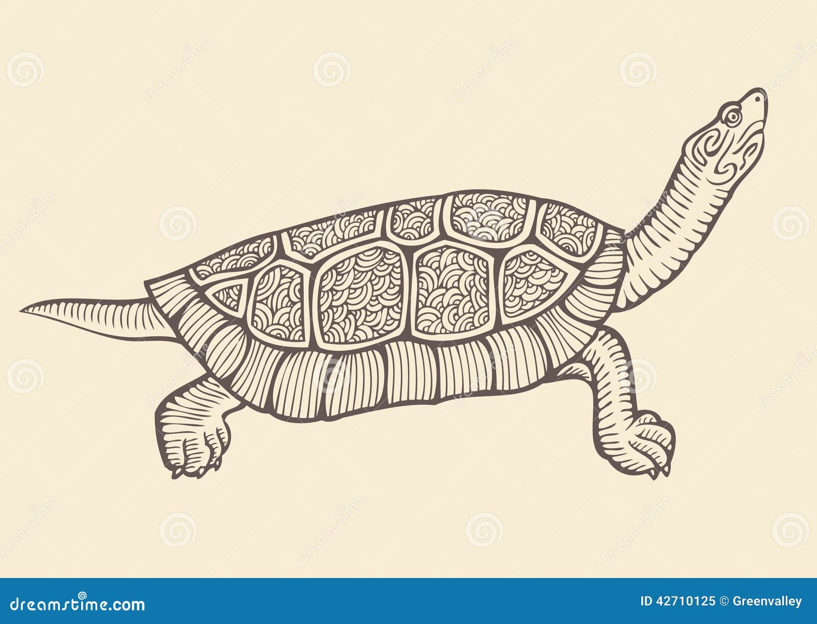 Fancy Turtle. Stylization. Cartoon Vector | CartoonDealer.com #87439043