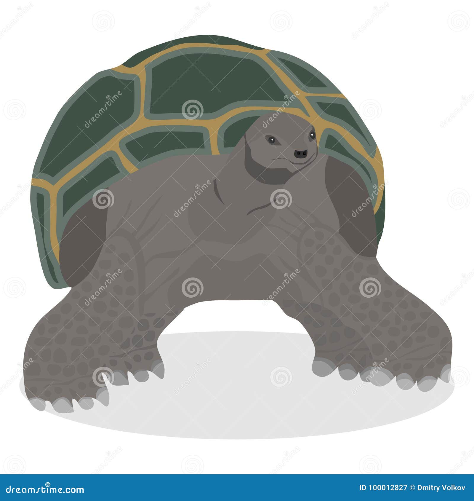 Turtle Realistic Vector Flat Style Black Silhouette | CartoonDealer.com ...