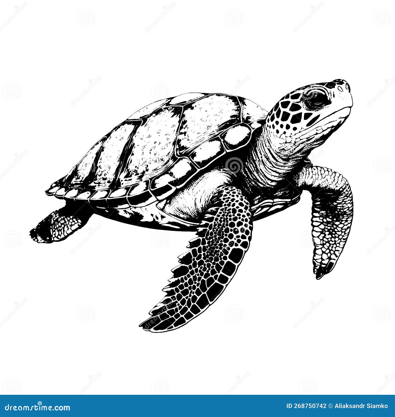 Turtle Hand Drawn Sketch Illustration Stock Vector - Illustration of ...