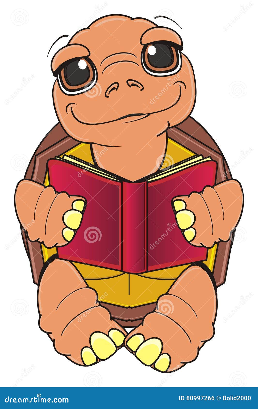 Turtle hold a book stock illustration. Illustration of slow - 80997266