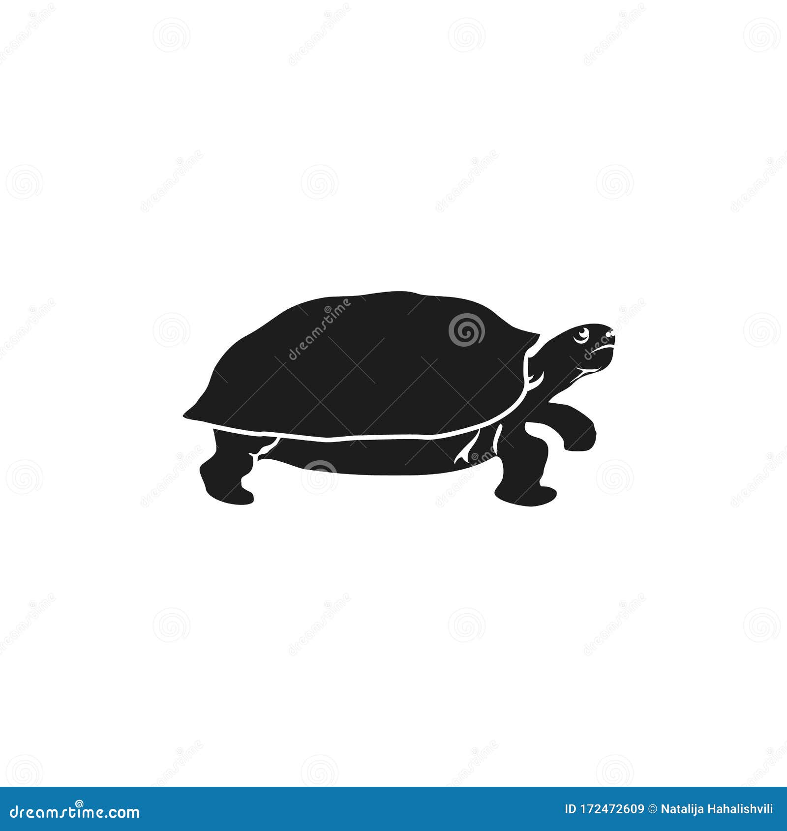 Turtle Icon Symbol. Premium Quality Isolated Tortoise Element in Trendy ...