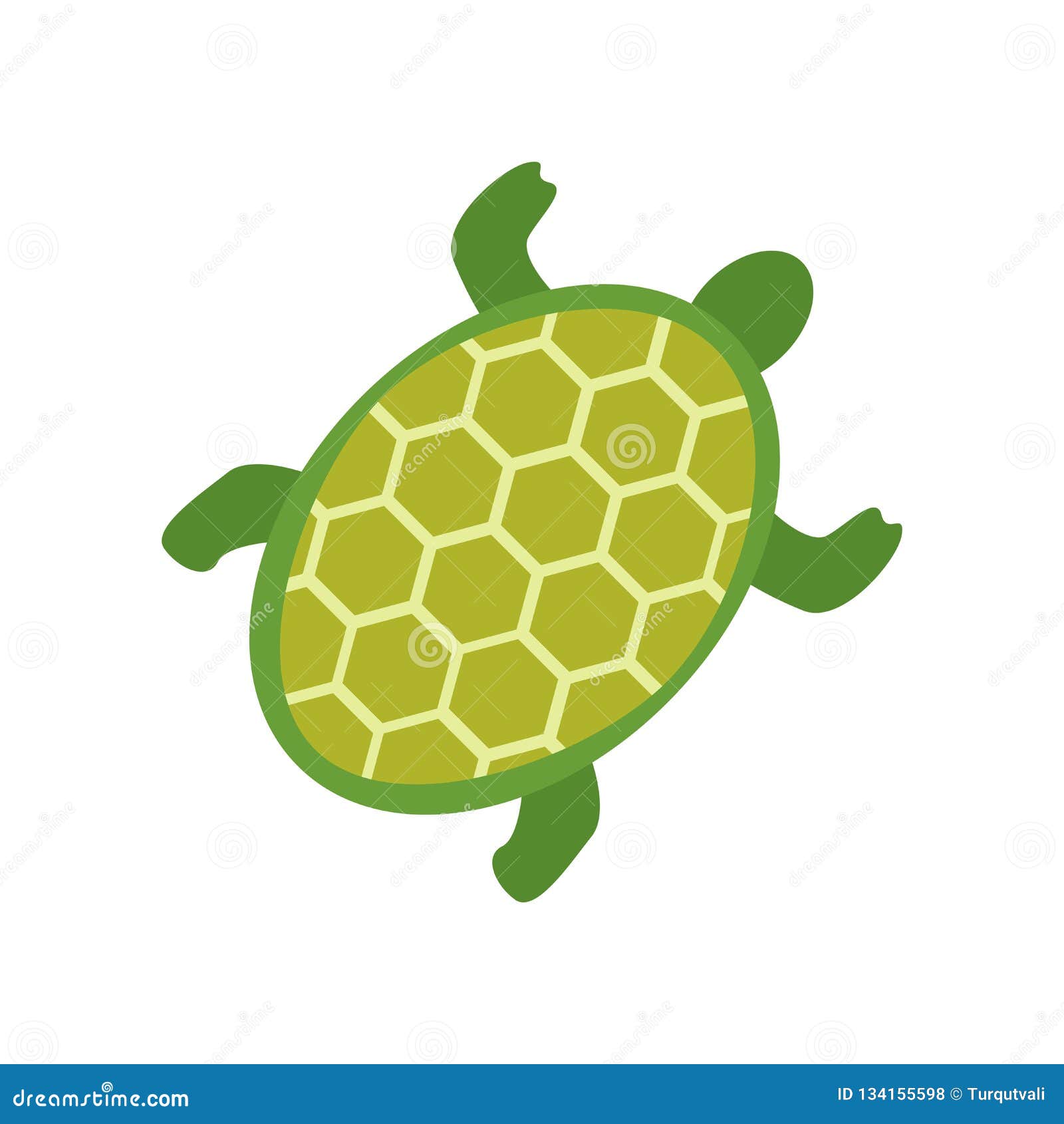 Turtle Icon Vector Sign and Symbol Isolated on White Background, Turtle ...