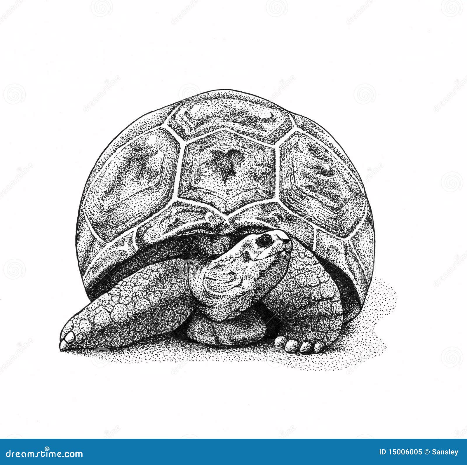 Turtle Illustration stock illustration. Illustration of tortoise - 15006005