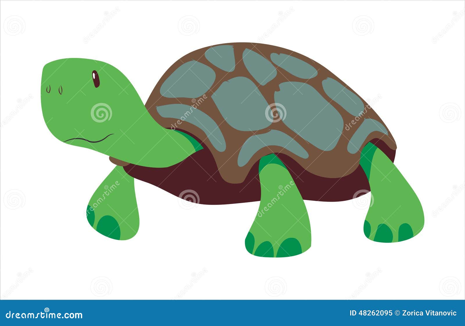 Turtle stock vector. Illustration of animals, brown, turtle - 48262095