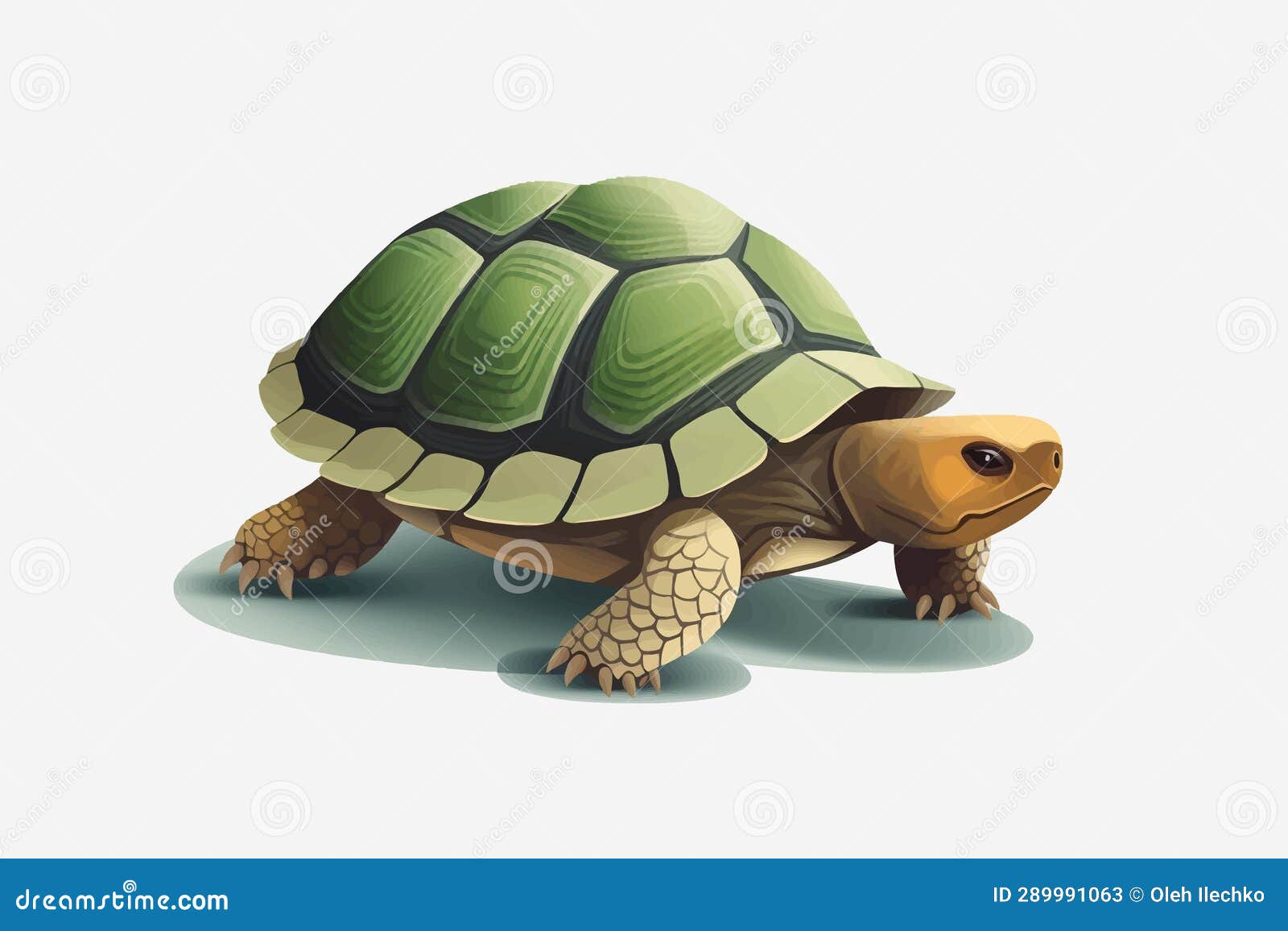 Turtle Isometric Vector Flat Minimalistic Isolated Illustration Stock ...