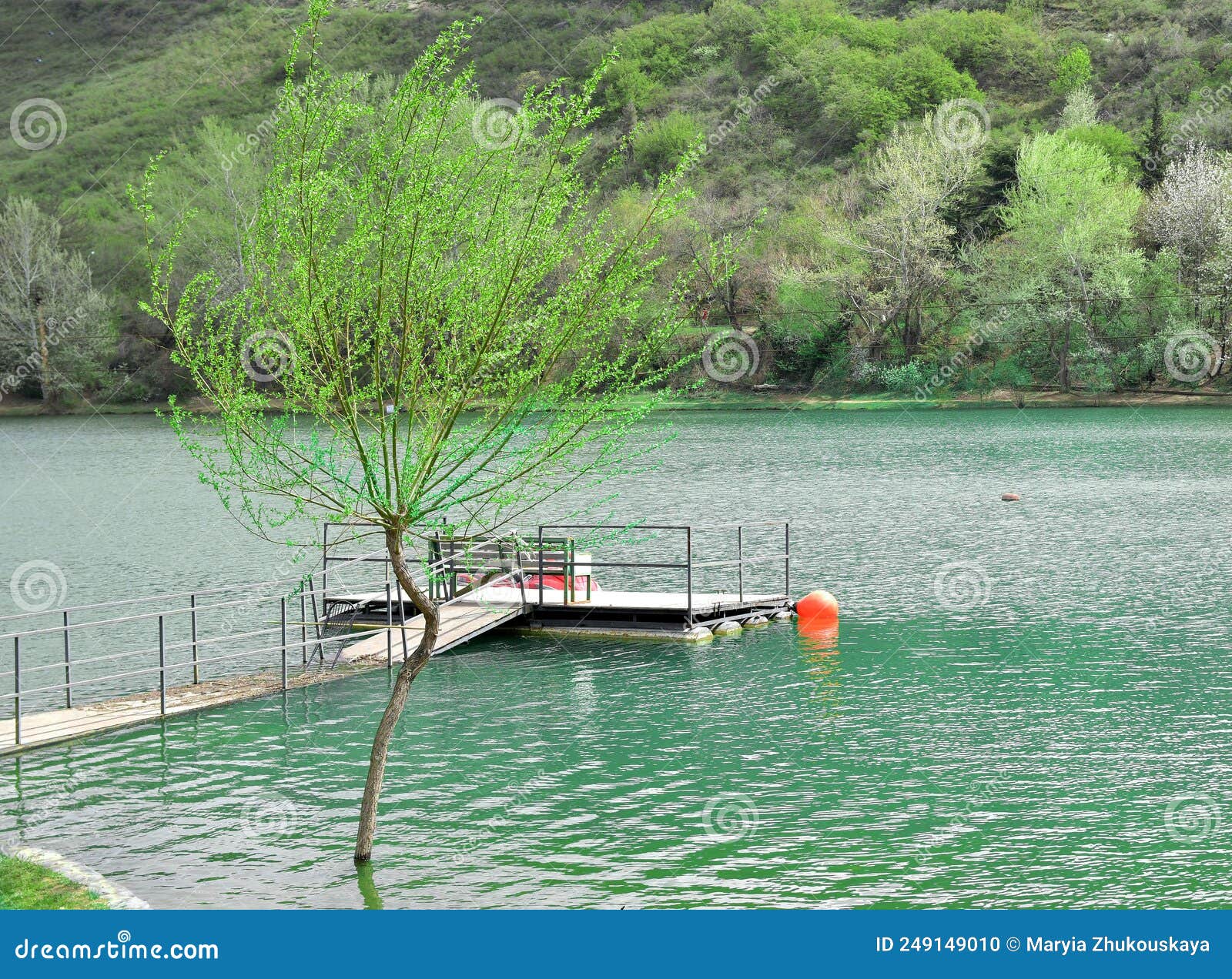 Turtle Lake in Tbilisi, Georgia Stock Photo - Image of reservoir ...
