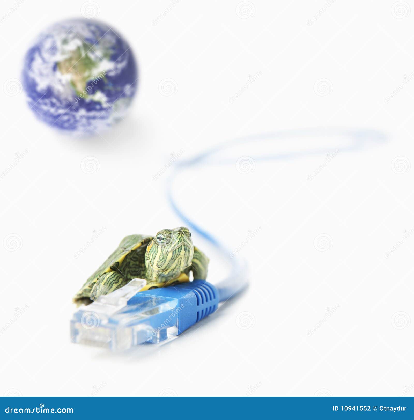 Turtle on LAN that Disconnected from the World Stock Photo - Image of ...
