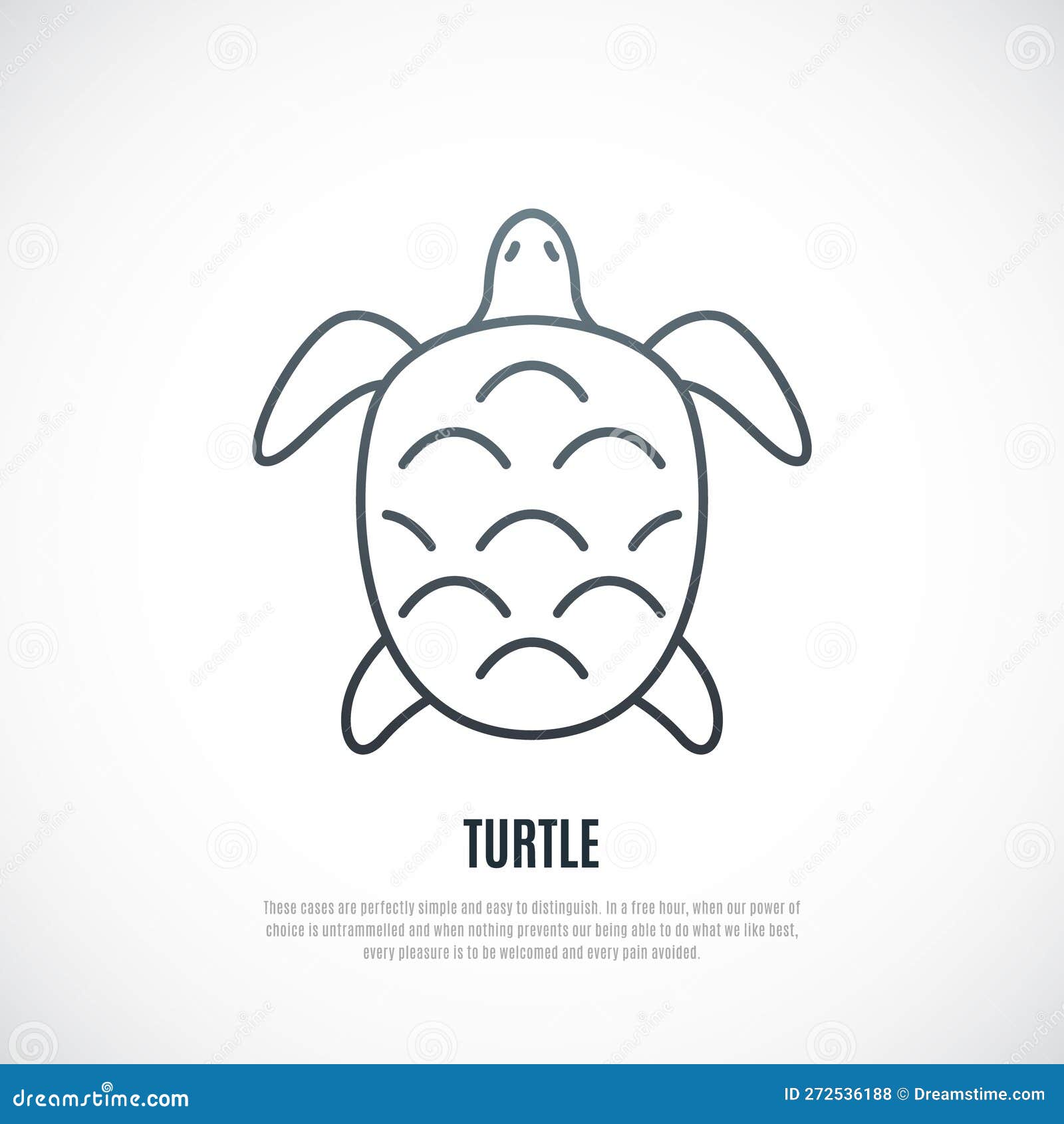 TURTLE LINE ART. Vector Sea Turtle. Continuous Line Drawing Vector ...