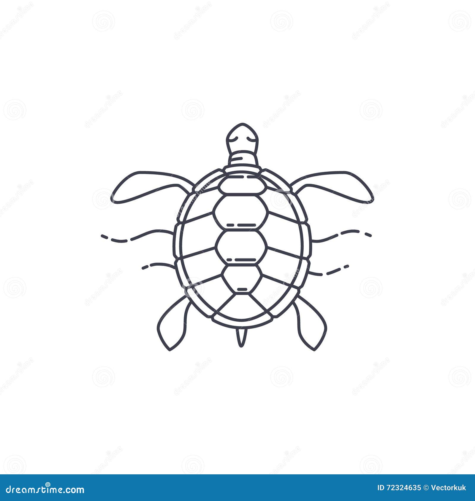 TURTLE LINE ART. Vector Sea Turtle. Continuous Line Drawing Vector ...