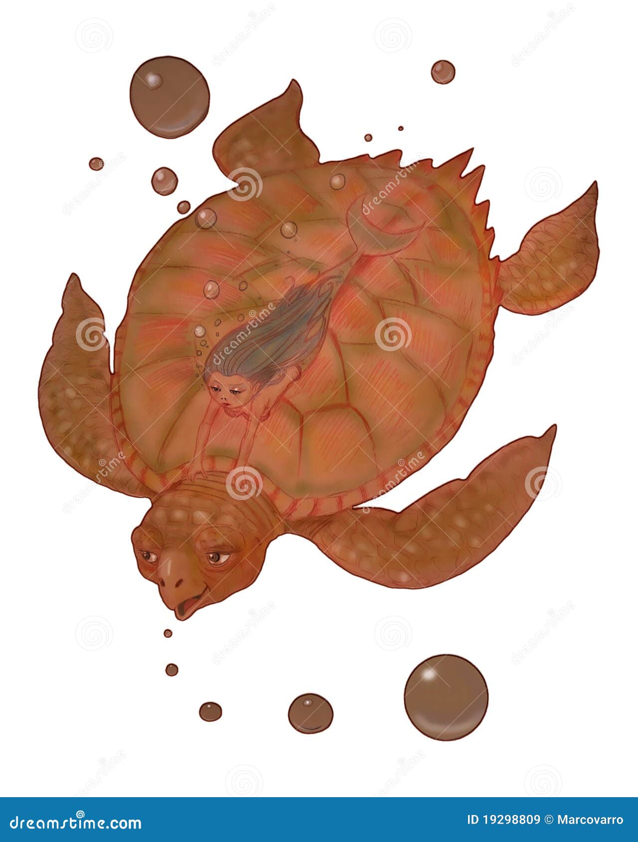 Turtle and little mermaid stock illustration. Illustration of draw ...