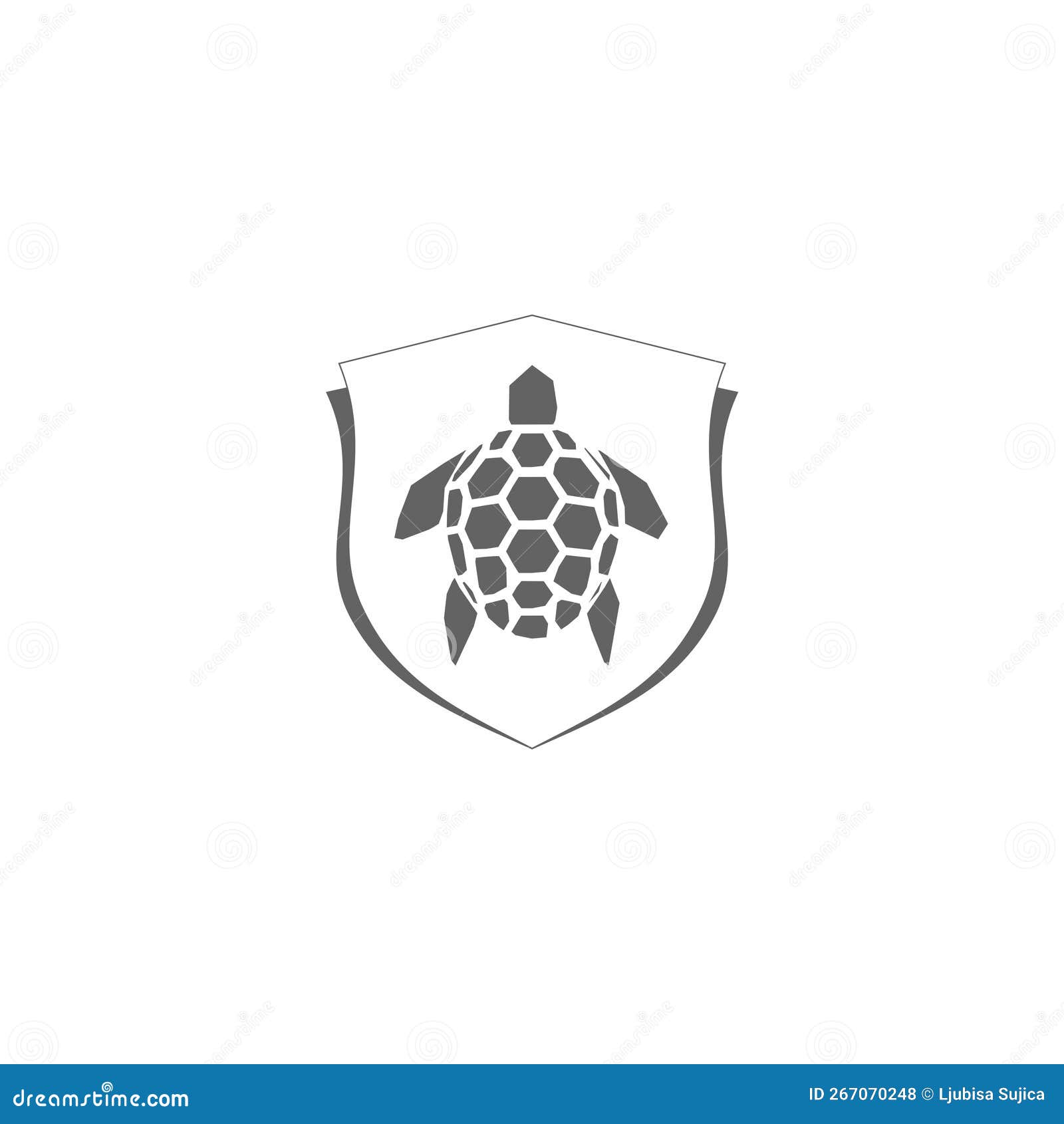 Turtle Logo Shield Icon Isolated on White Backgound Stock Vector ...