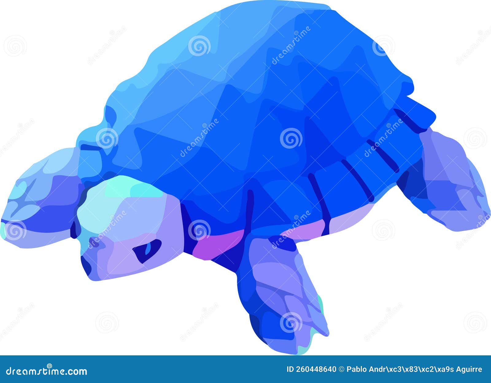 Turtle, Low Poly ,on White Background Stock Vector - Illustration of ...