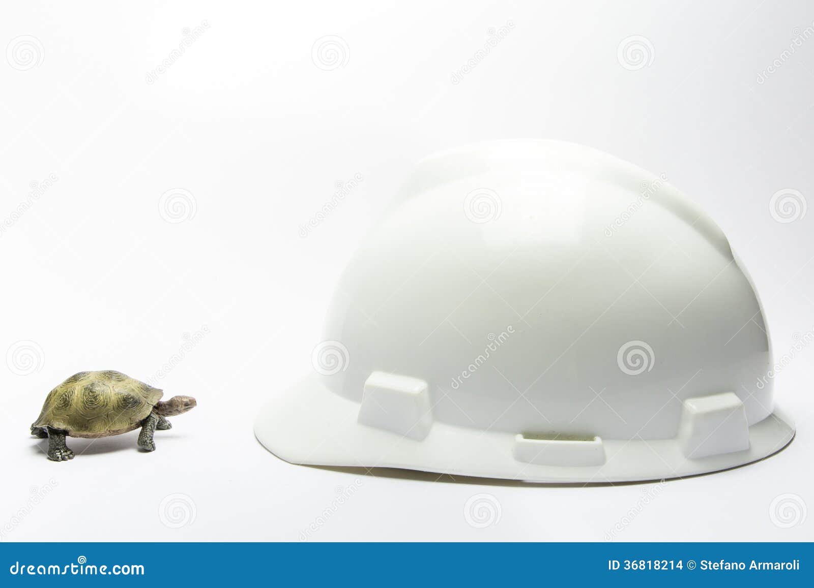 Turtle Helmet Stock Photos - Download 98 Royalty Free Photos