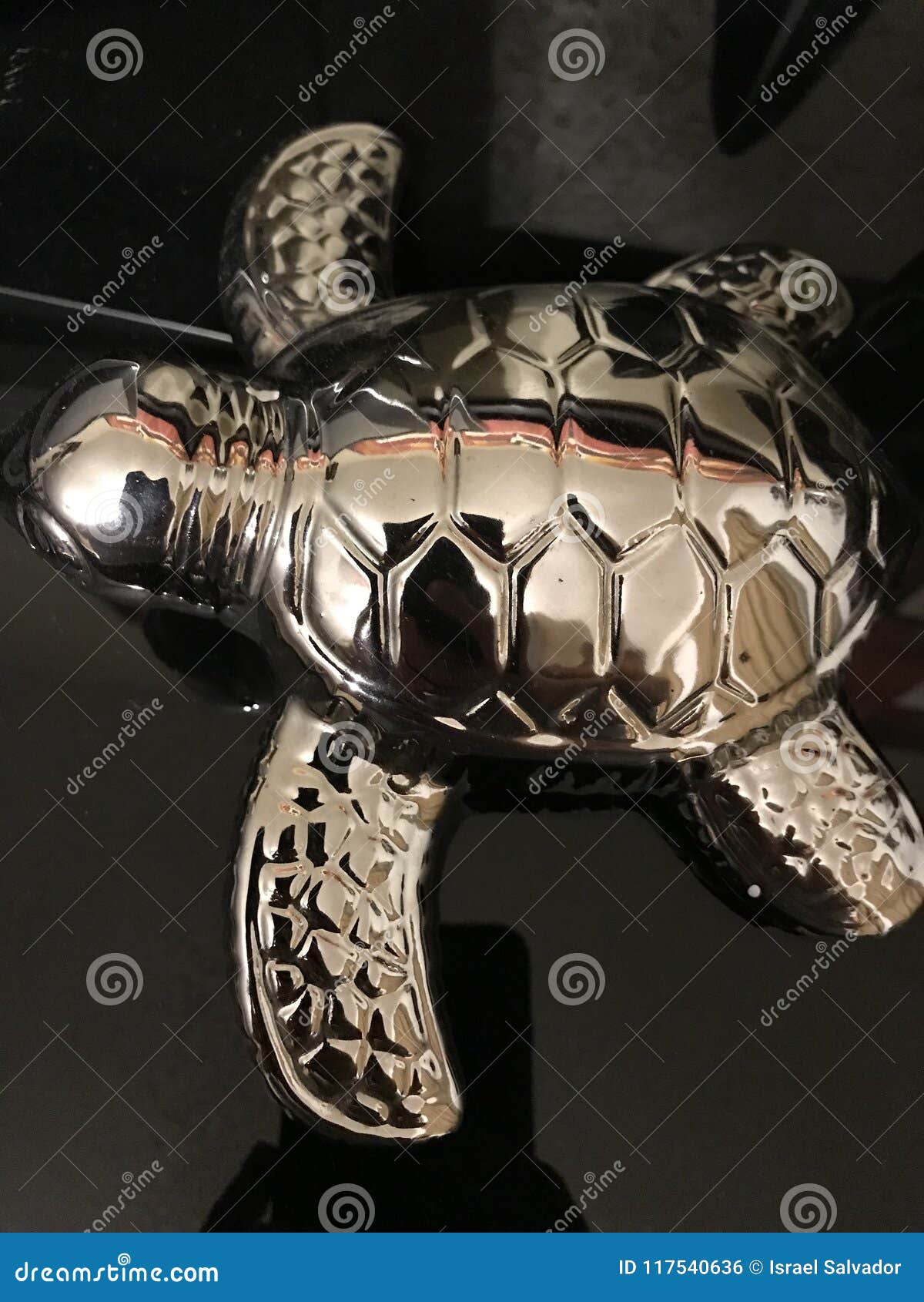 Turtle of metal stock photo. Image of metal, shining - 117540636