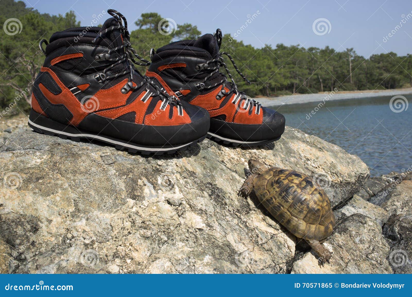 Turtle Near Mountain Boots . Stock Image - Image of snowshoeing, fans ...