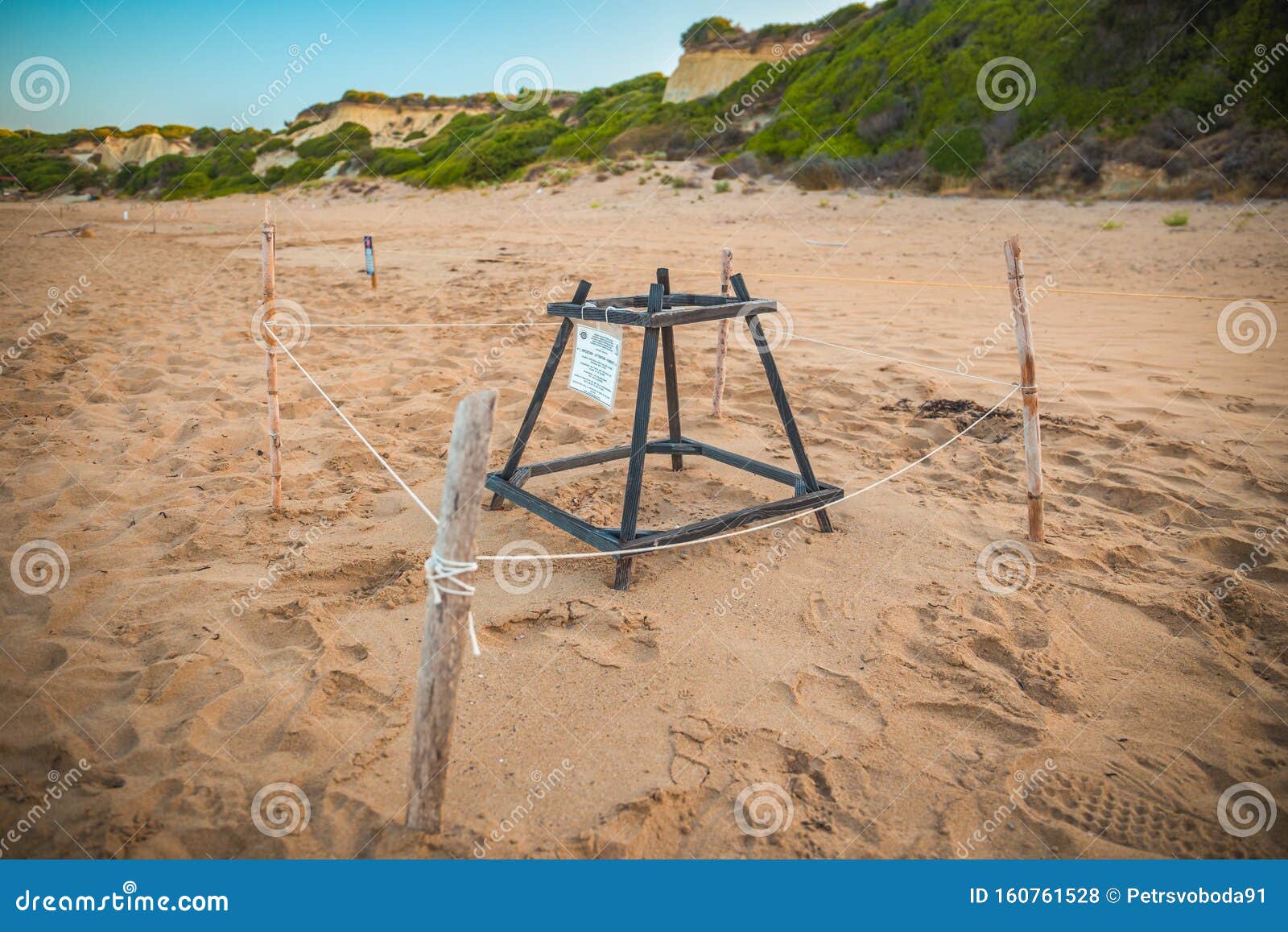 Turtle Nest. Loggerhead Sea Turtle Nesting Site. Special Constructions ...
