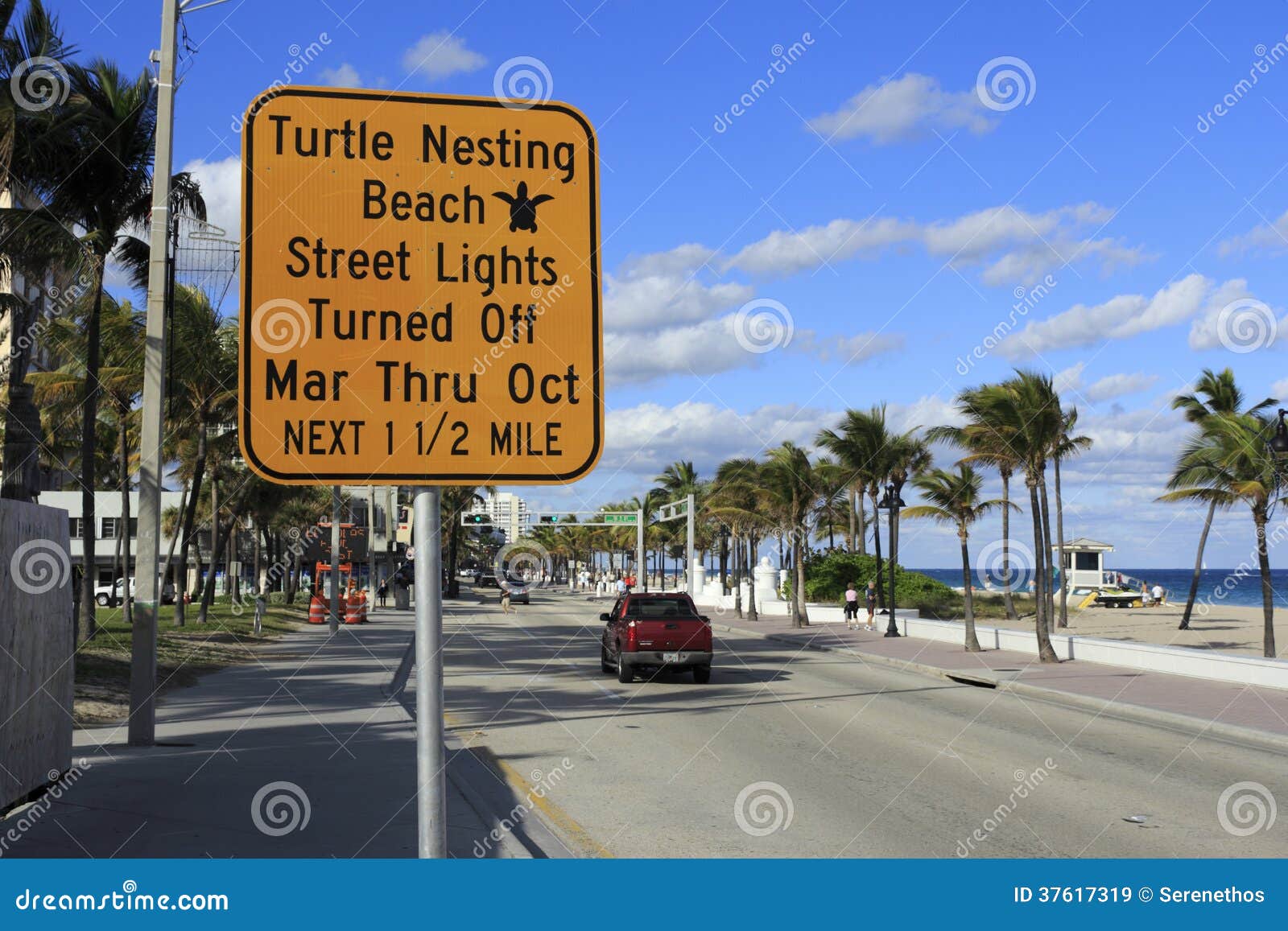 Turtle Nesting Sign editorial stock image. Image of protection - 37617319