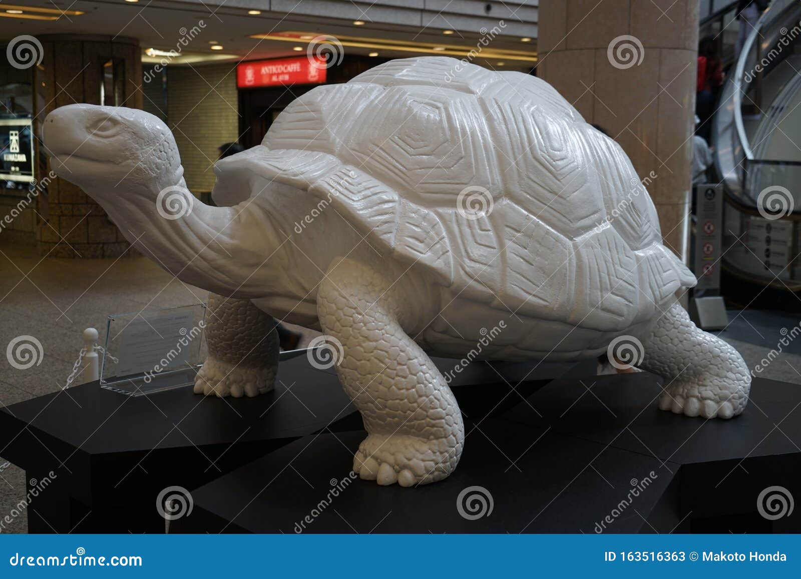 Turtle of objects editorial stock photo. Image of goods - 163516363