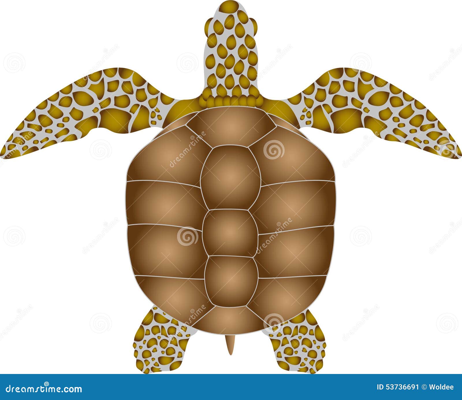 Turtle stock illustration. Illustration of arts, ornaments - 53736691