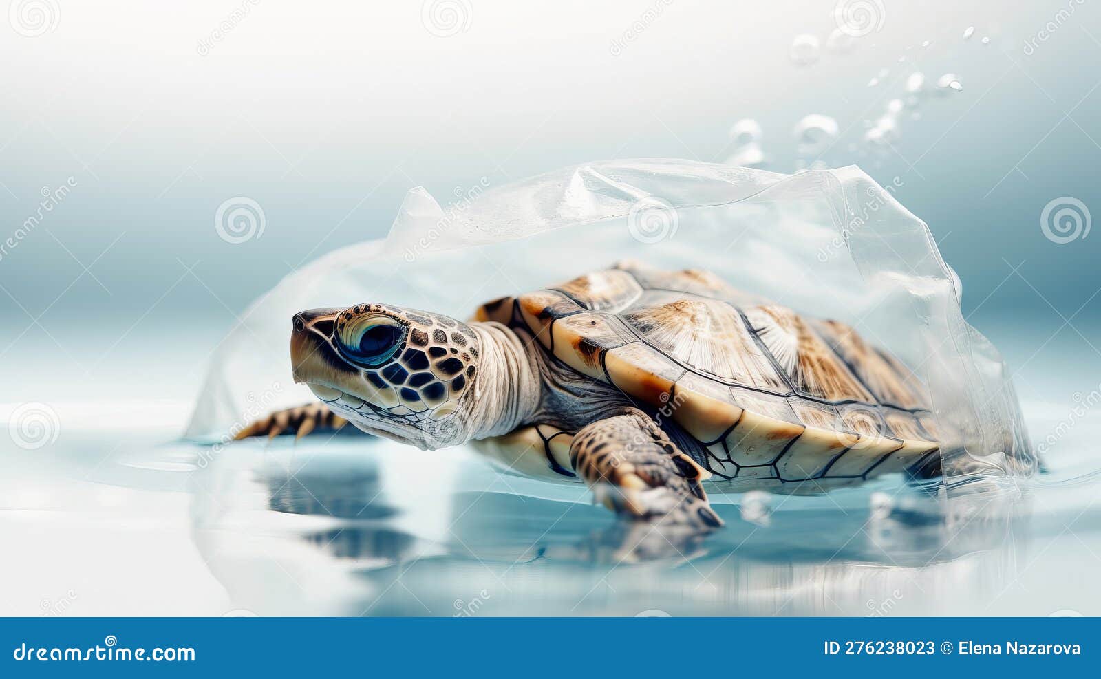 Turtle in Plastic Bag. Plastic Pollution Problem. Environment Concept ...