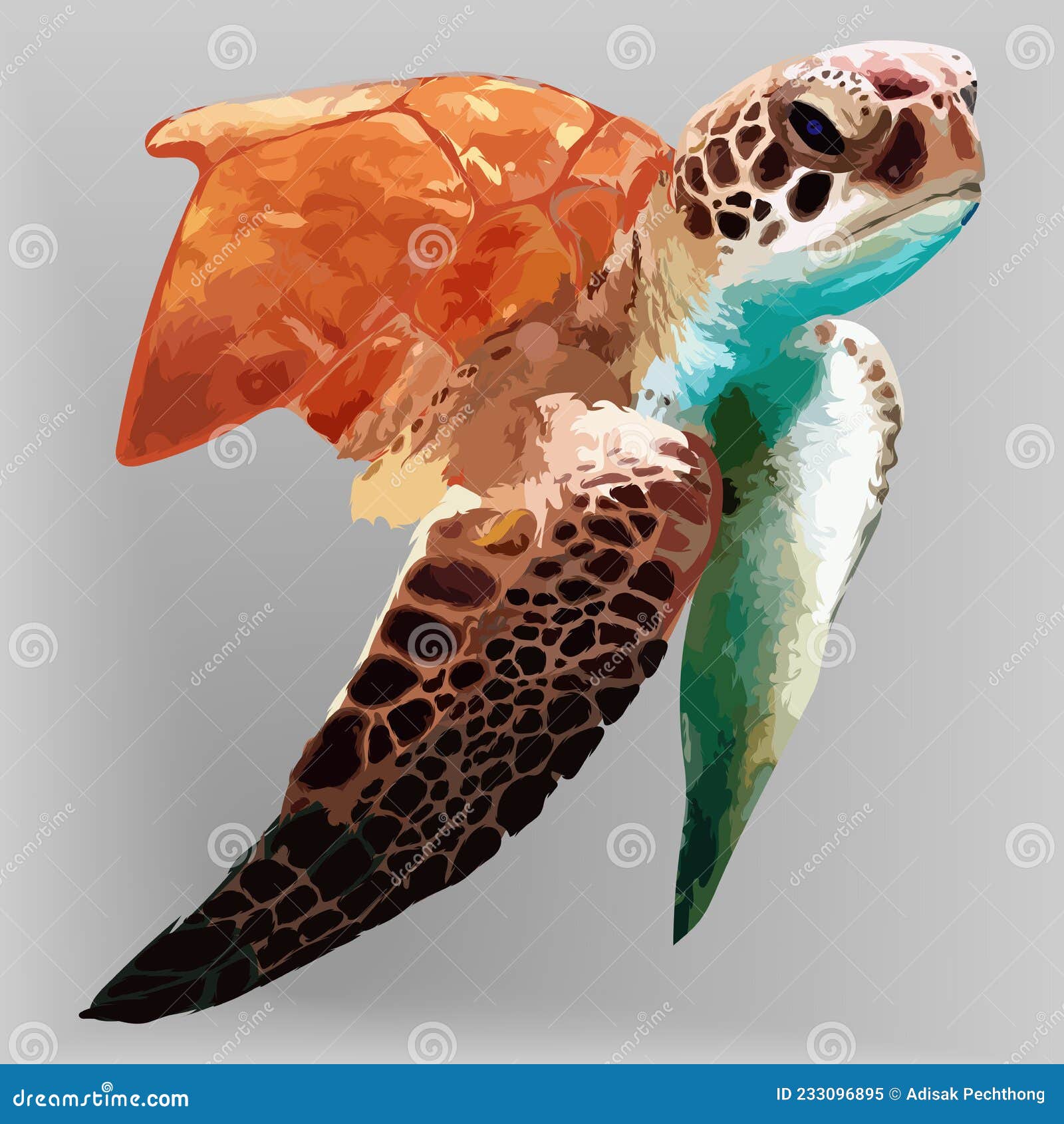 Turtle Realistic Hand Drawn Vector And Illustrations White Background ...