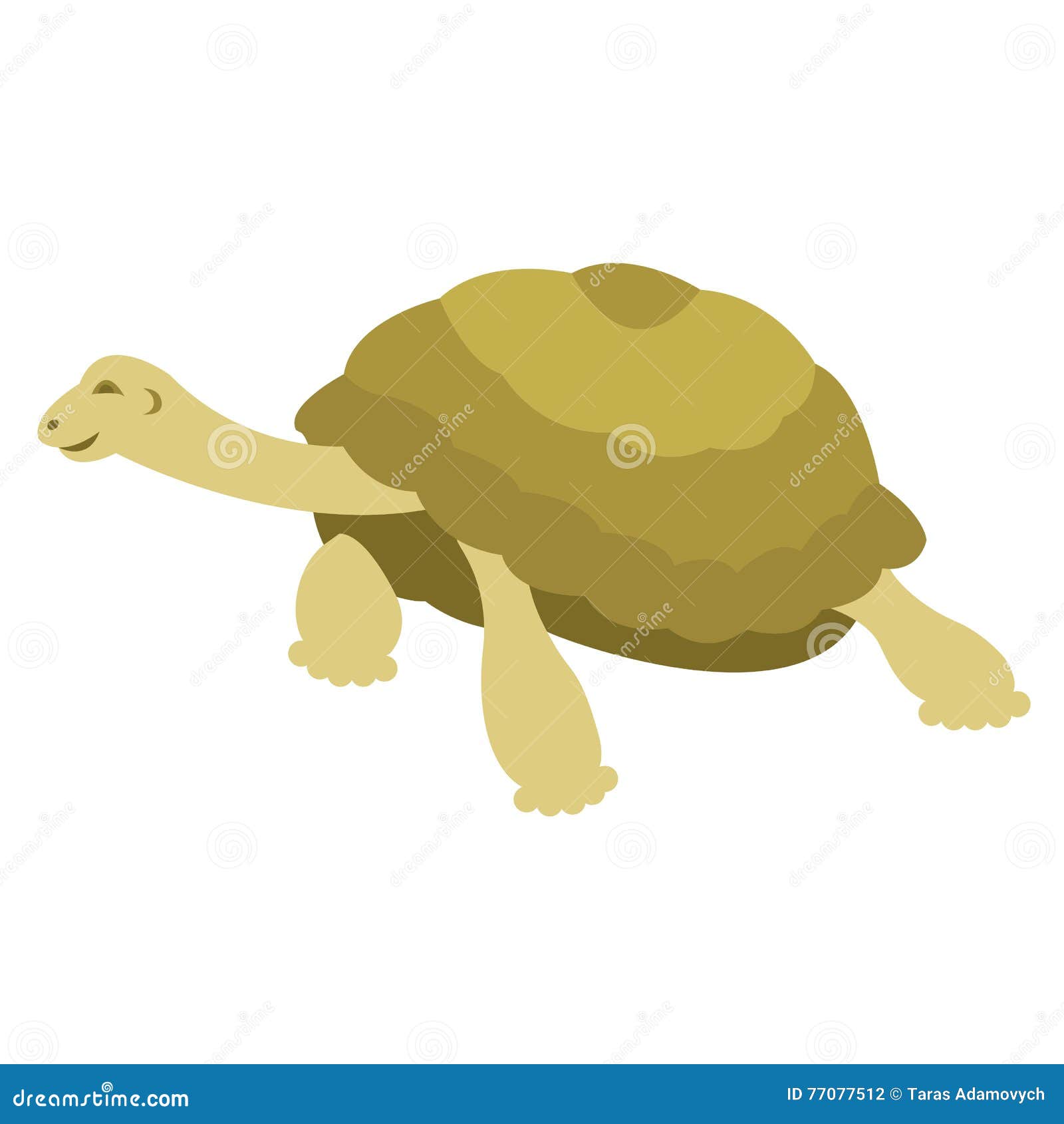 Turtle Realistic Vector Flat Style Stock Vector - Illustration of ...