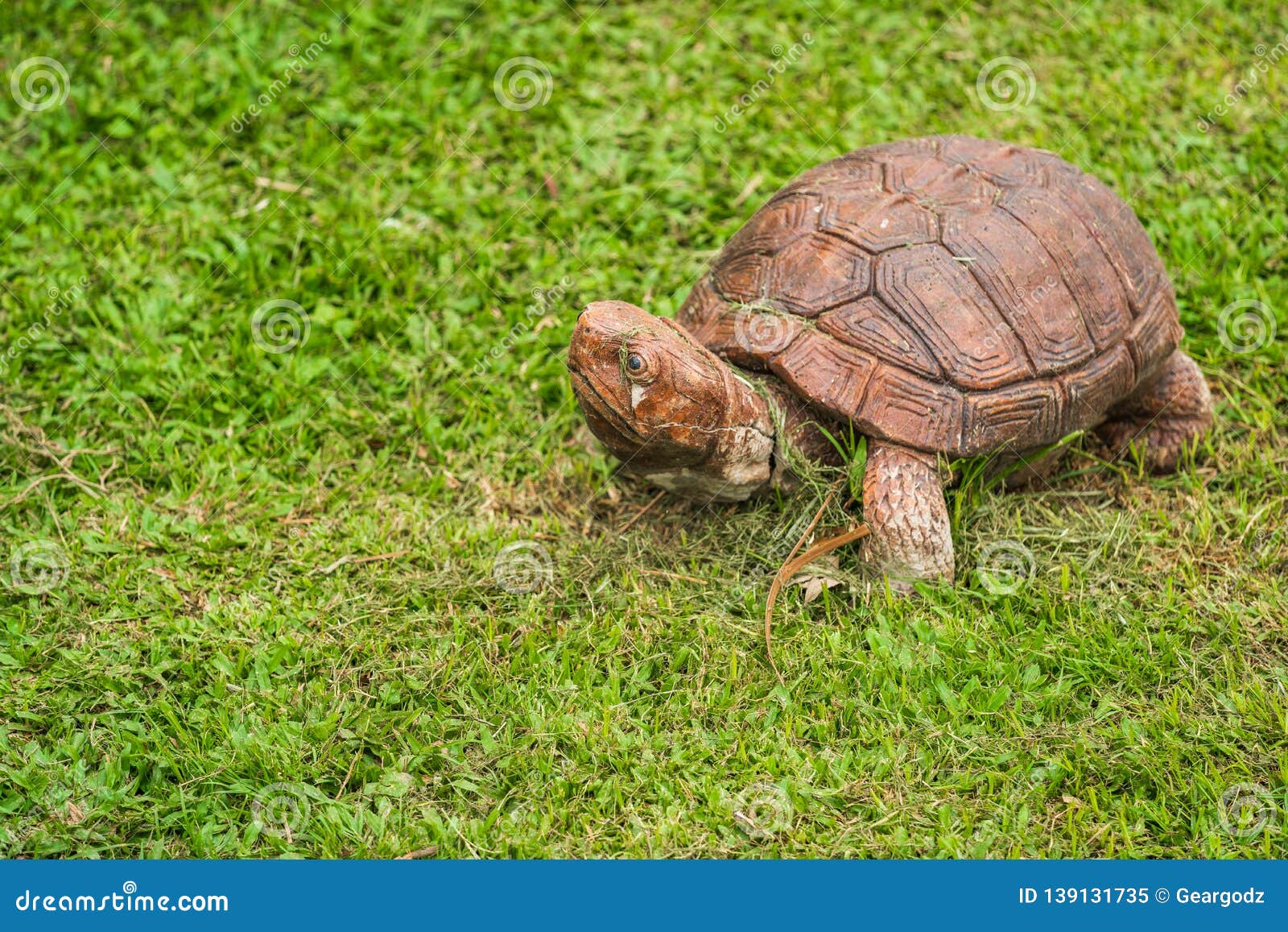 Turtle resting in garden stock image. Image of animals - 139131735