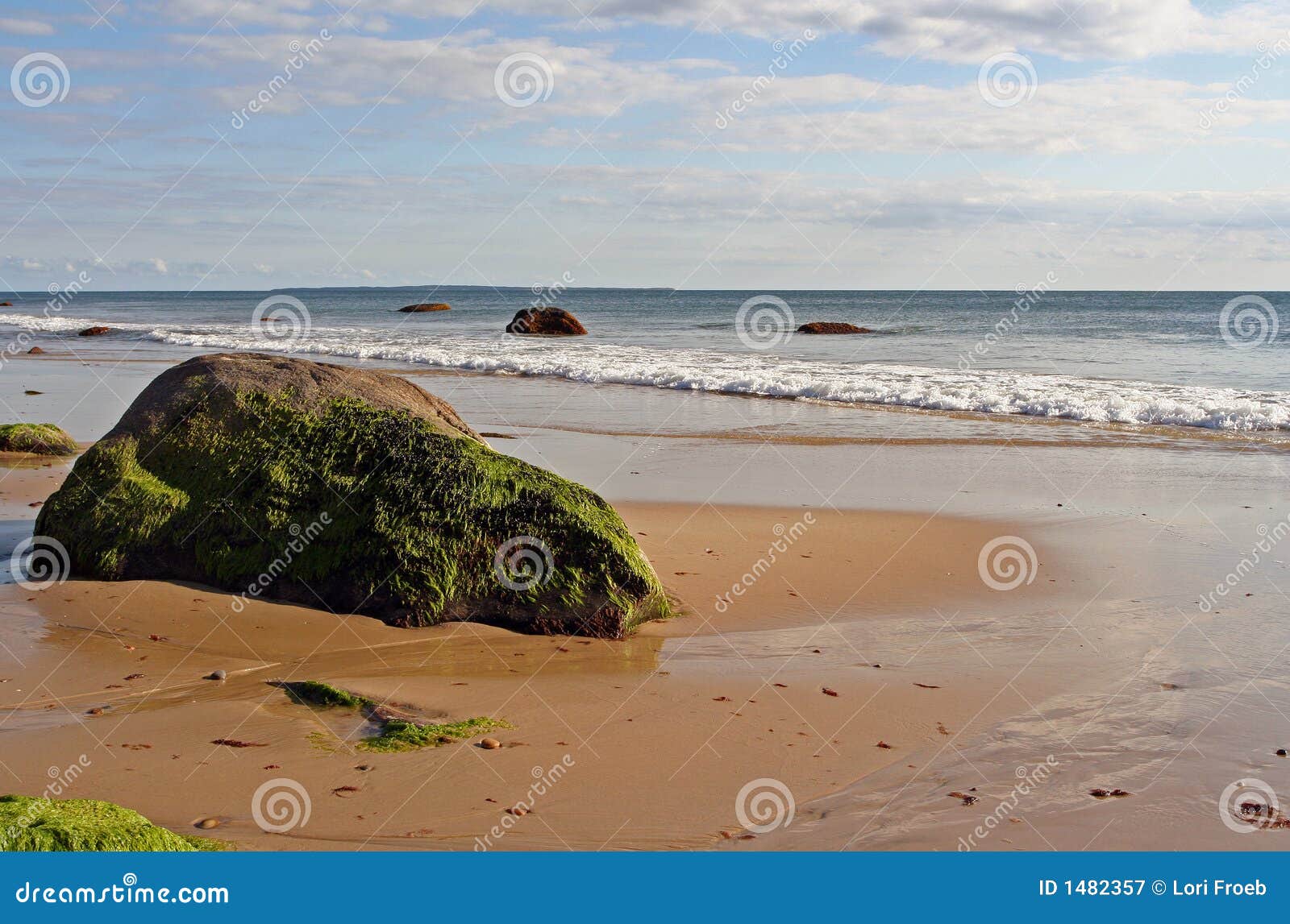 Turtle Rock stock image. Image of vineyard, moshup, serene - 1482357