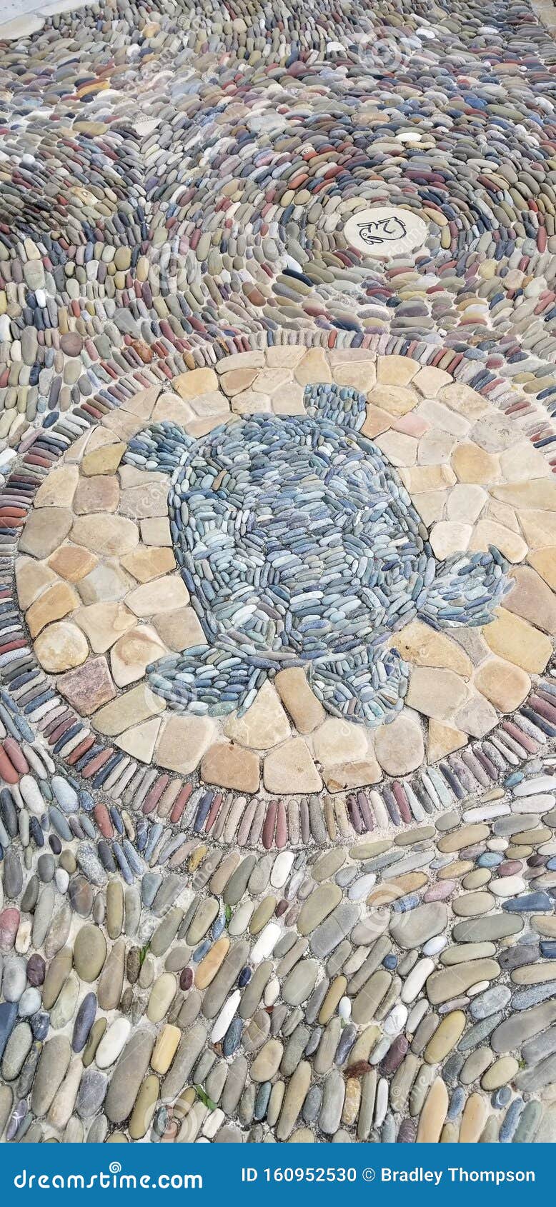 Turtle Rock Art Mosaic stock photo. Image of turtle - 160952530