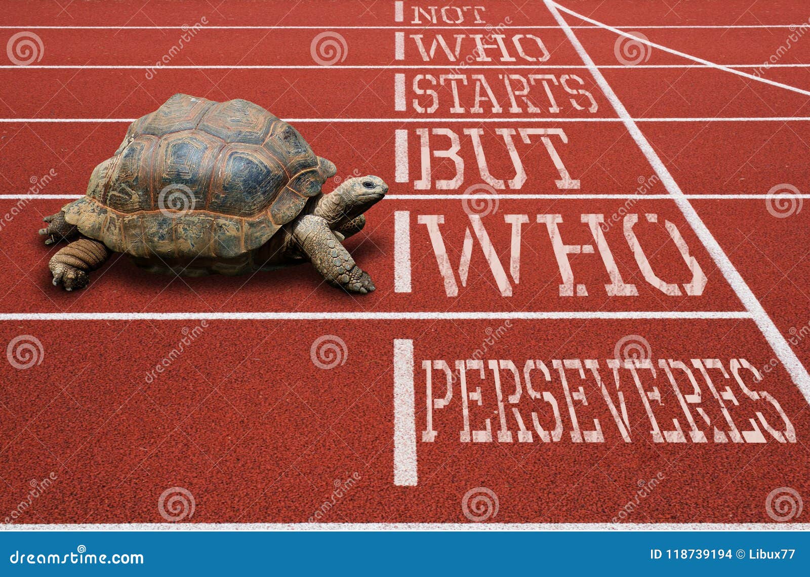 Turtle Running Athletic Track Motivational Quote Stock Photo - Image of ...