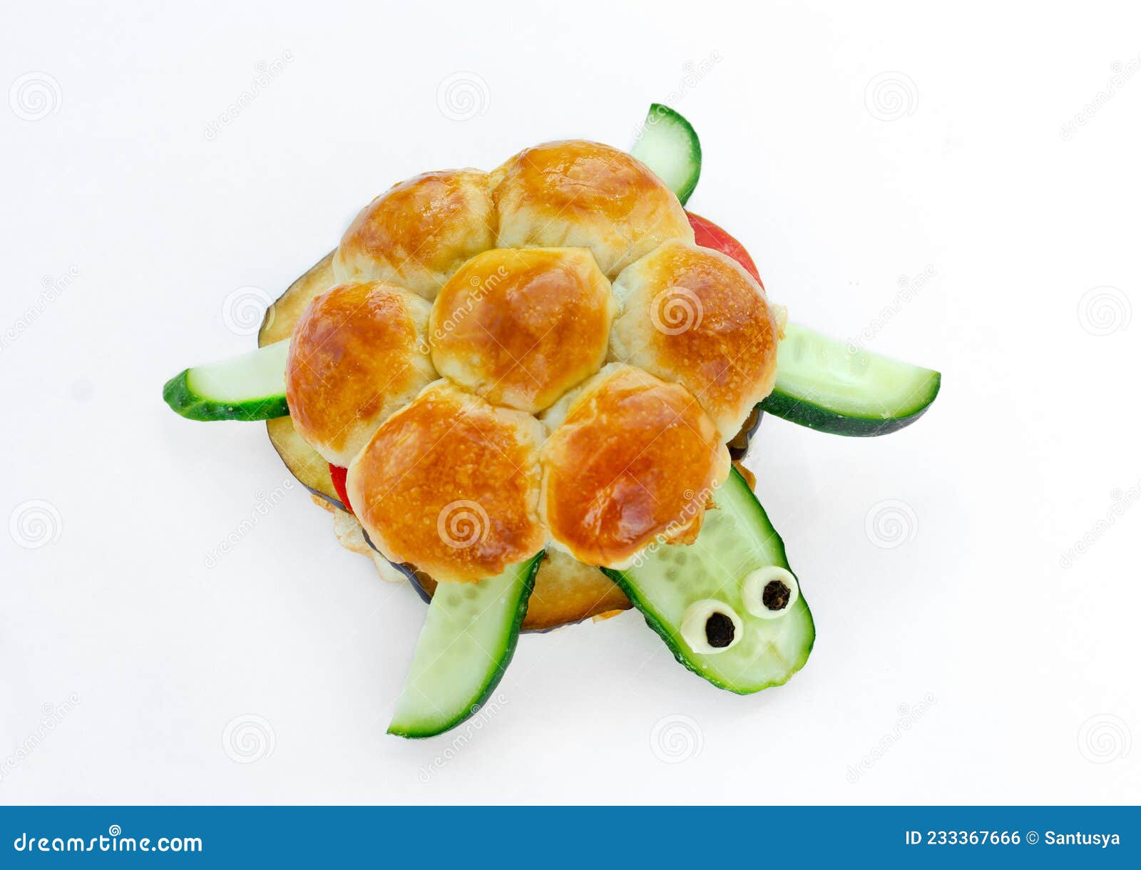 Turtle Sandwich Isolated on a White Background Stock Photo - Image of ...
