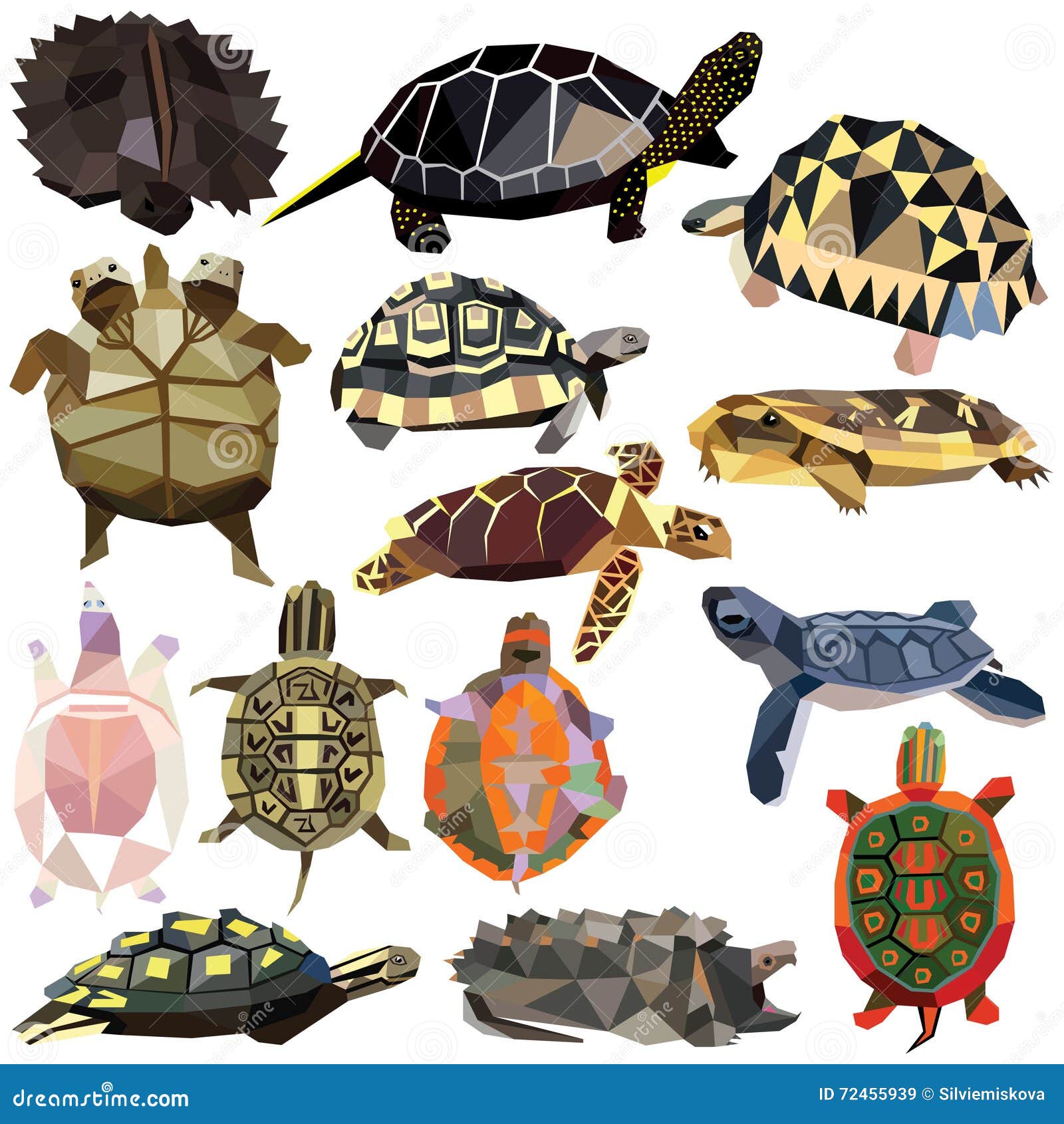 African Radiated Tortoise Map Illustration Cartoon Vector ...