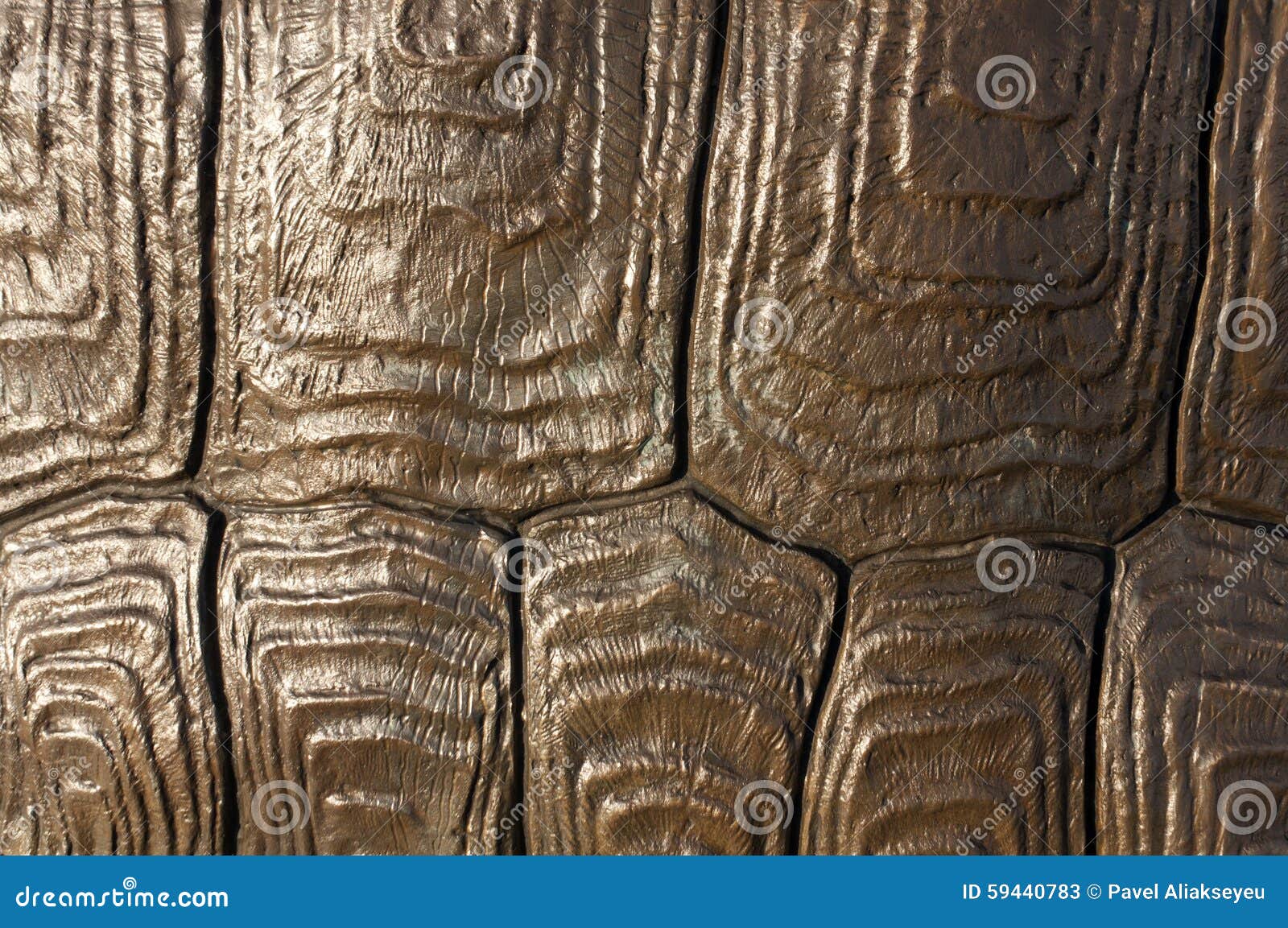 Turtle Shell Bronze Structure. Stock Image - Image of backdrop, natural ...