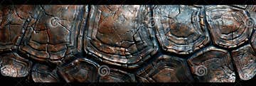 Turtle Shell Texture Background, Brontosaurus Dinosaur Skin Texture ...