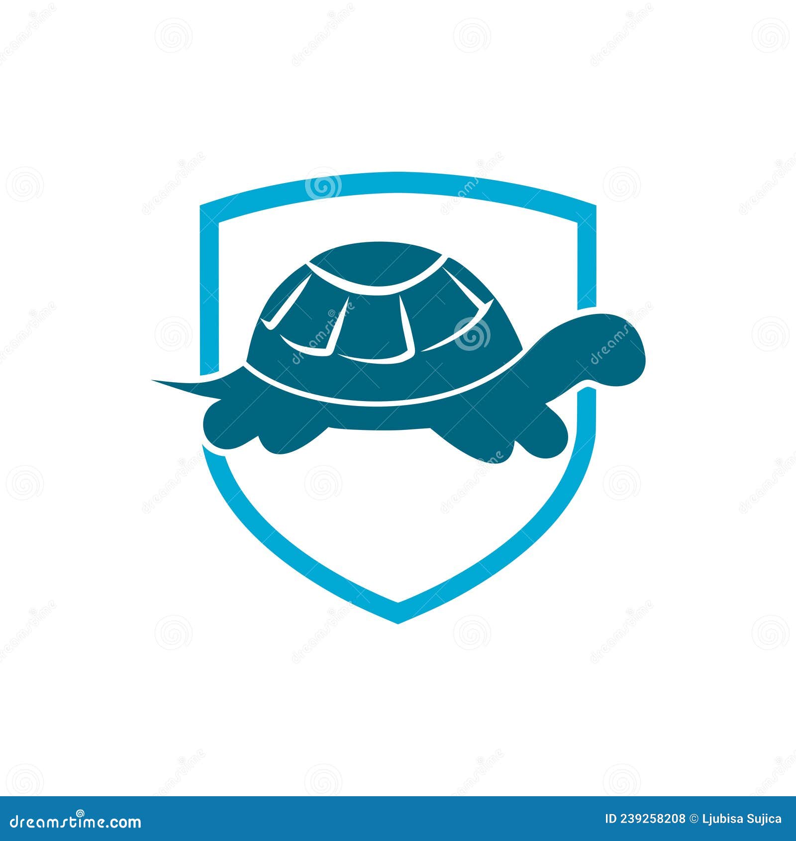 Turtle with Shield Icon Isolated on White Background Stock Vector ...