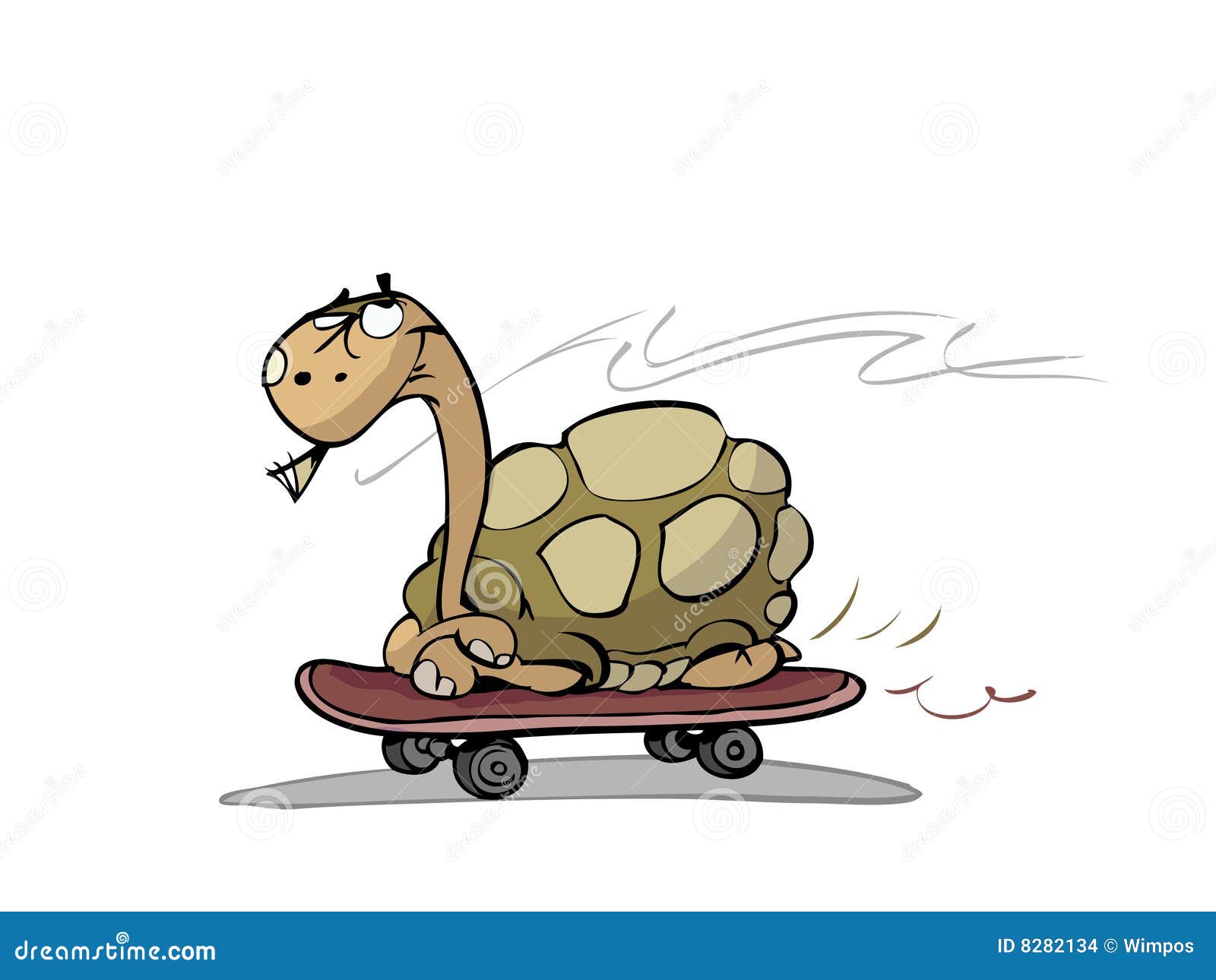 Turtle With Skateboard Stock Photography | CartoonDealer.com #35957528