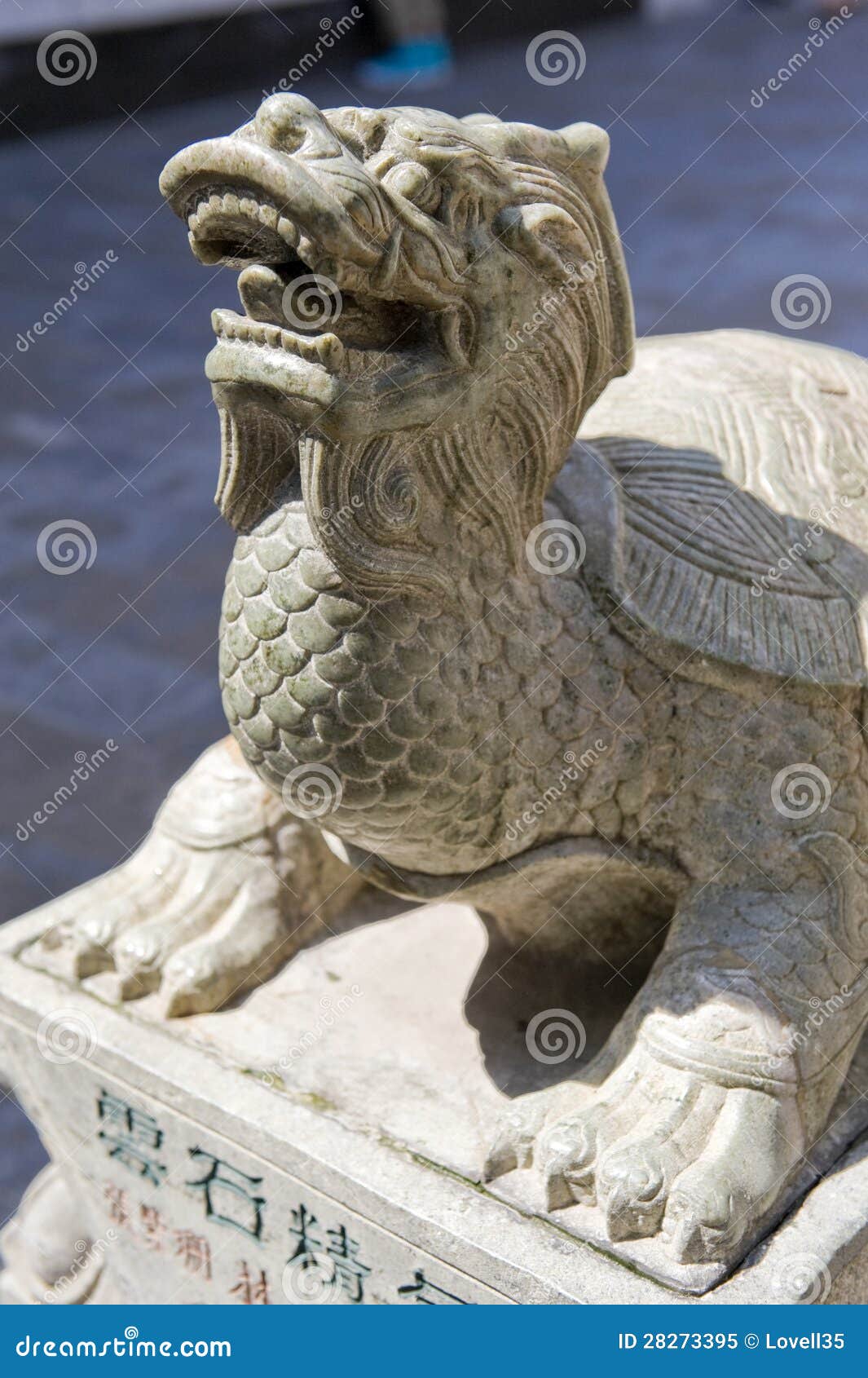 Turtle Carved Into A Lettered Cone Snail Conus Litteratus Stock Image ...