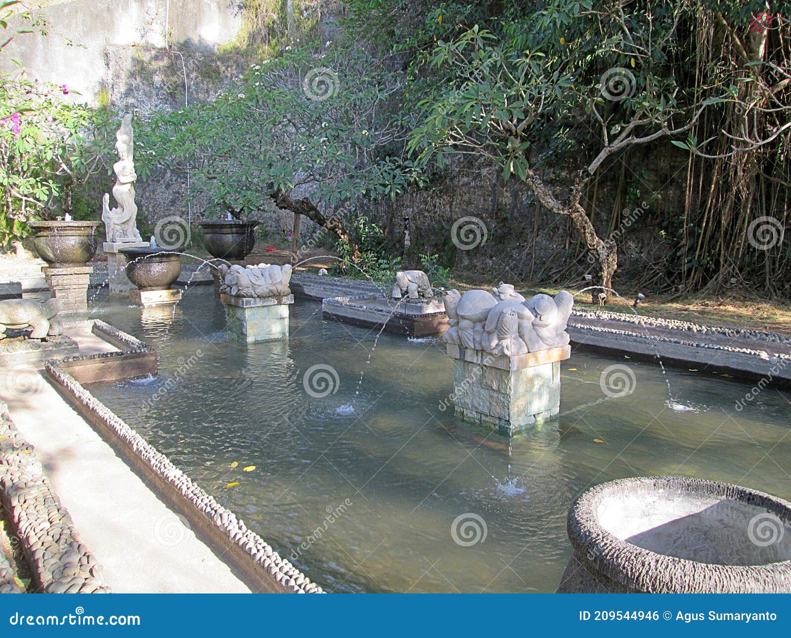 The Turtle Statue Fountain in the Water Pool Stock Photo - Image of ...