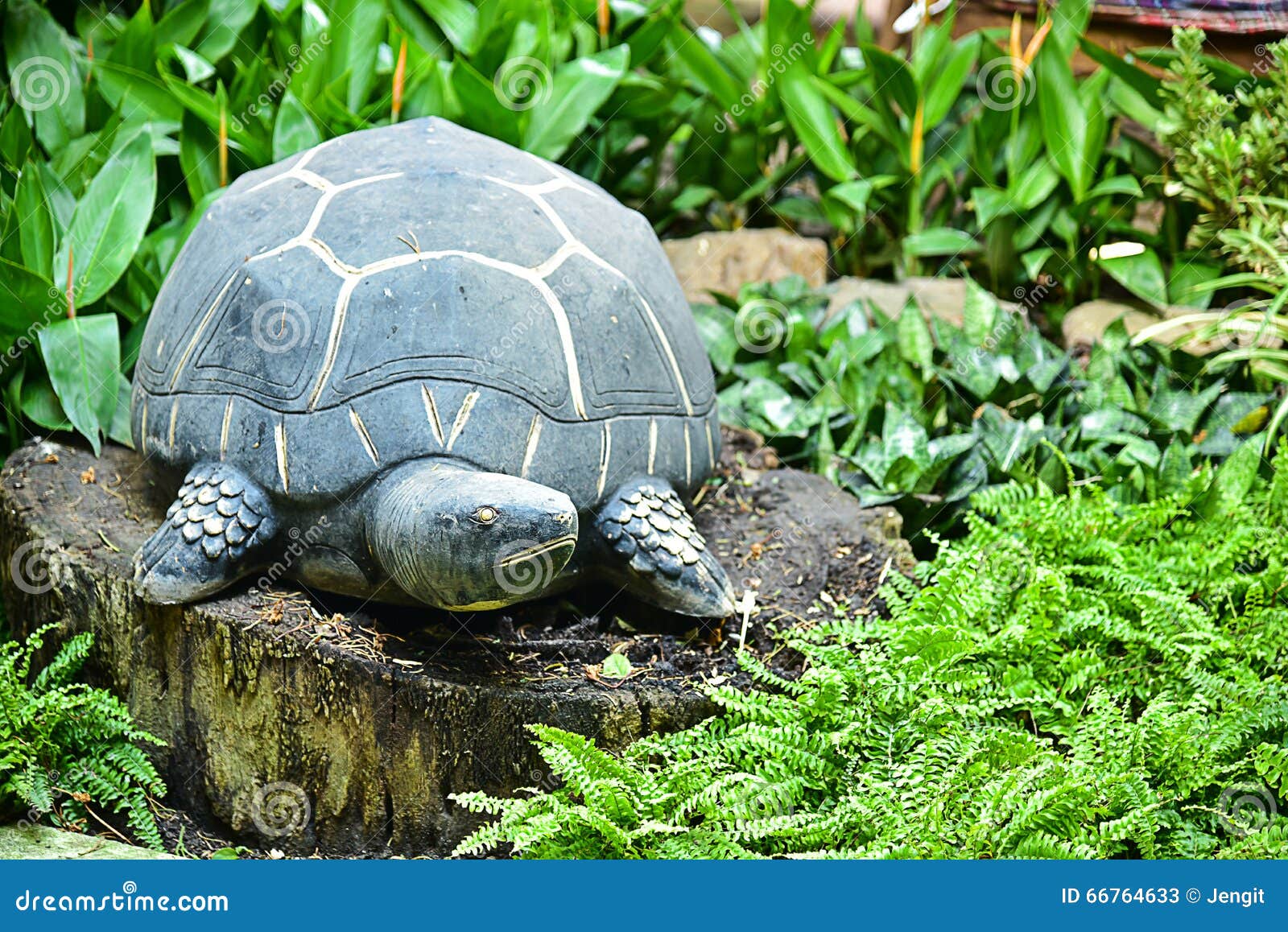 Turtle statue stock image. Image of life, architecture - 66764633