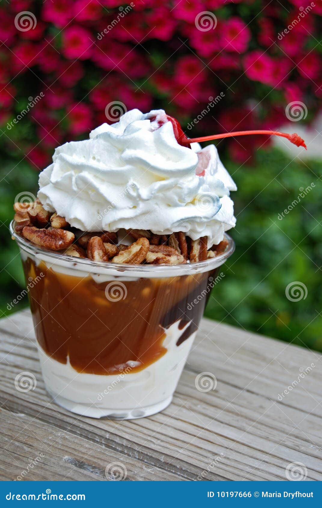 Turtle Sundae Stock Photos - Free & Royalty-Free Stock Photos from ...