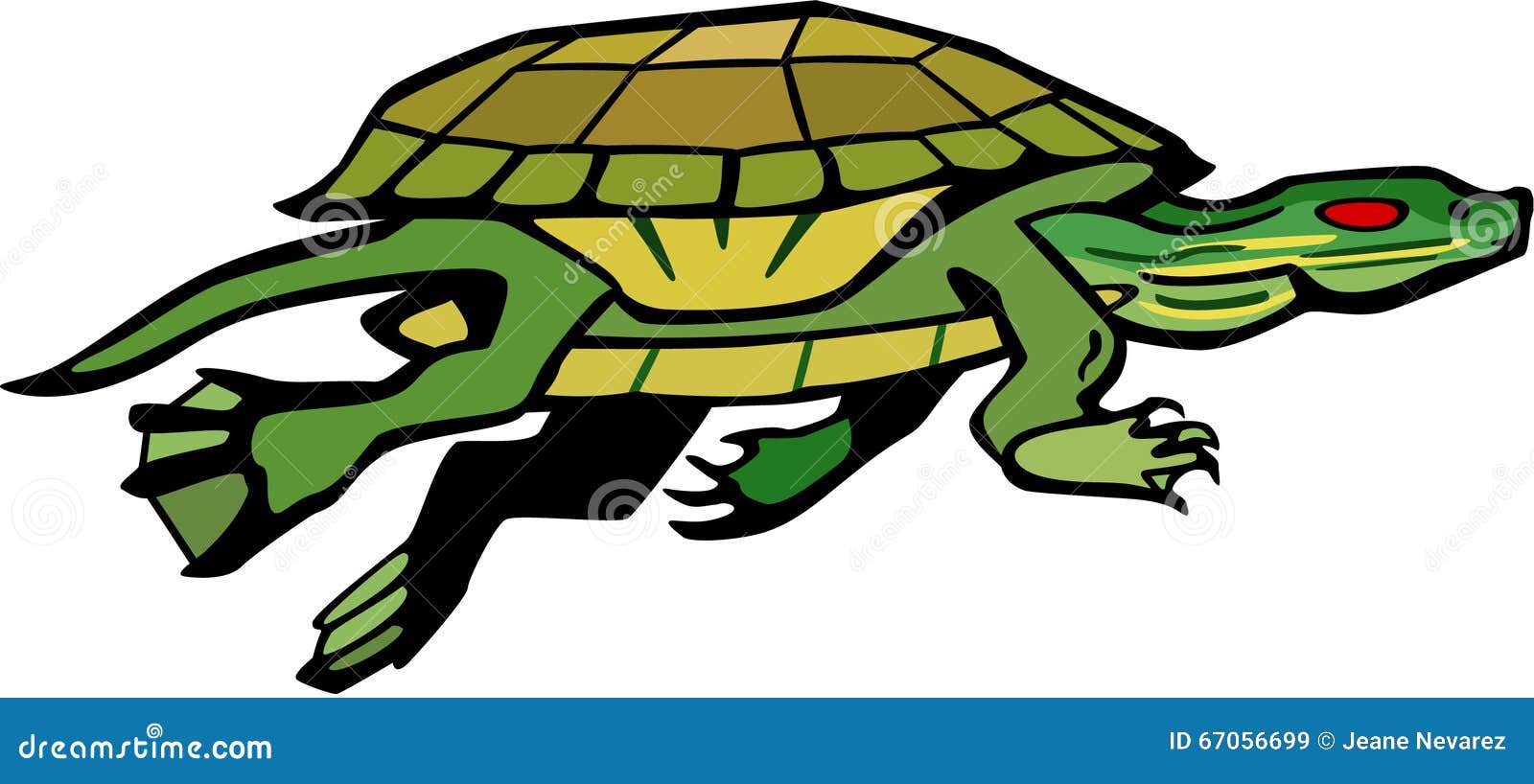 Trachemys Scripta Elegans Red-eared Slider, Red-eared Terrapin, Water ...