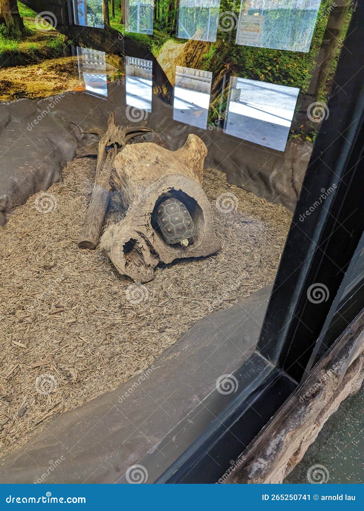 Turtle tank zoo stock image. Image of tank, iron, sculpture - 265250741