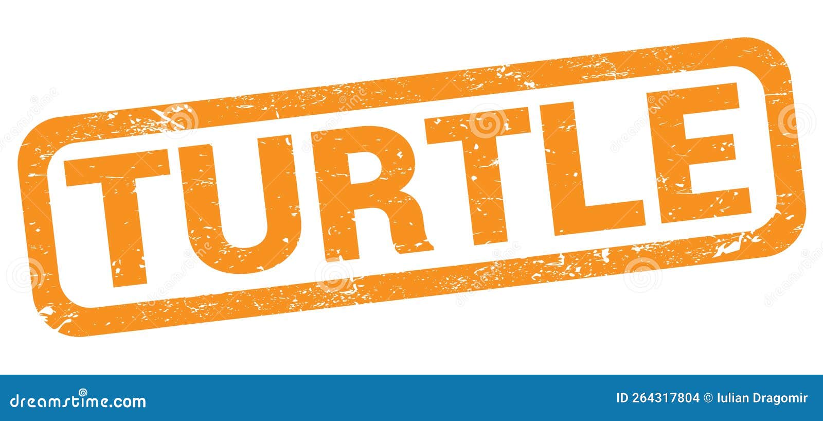 TURTLE Text Written on Orange Rectangle Stamp Stock Illustration ...