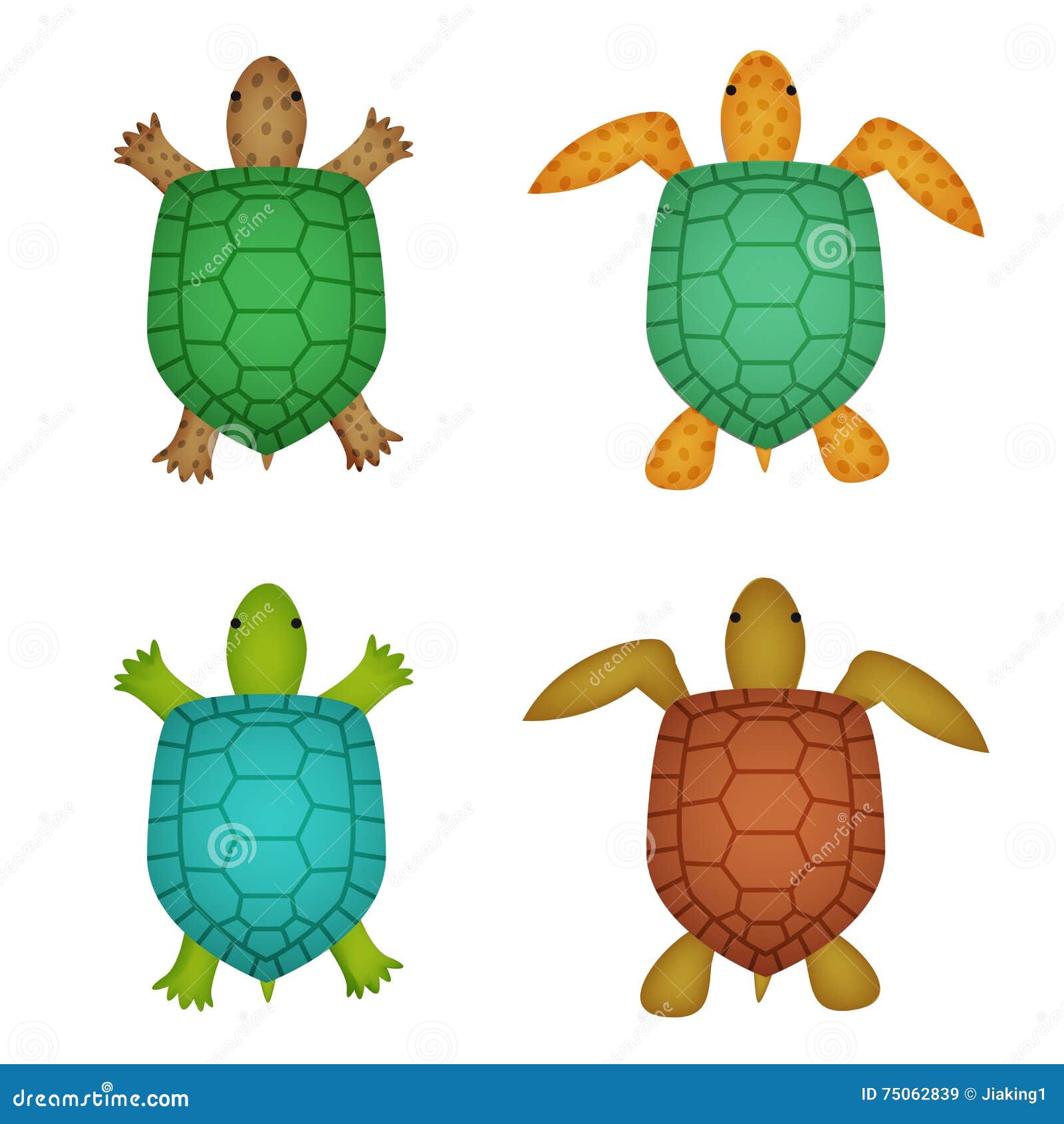 Turtle and Tortoise in Realistic Style, Top View Stock Vector ...